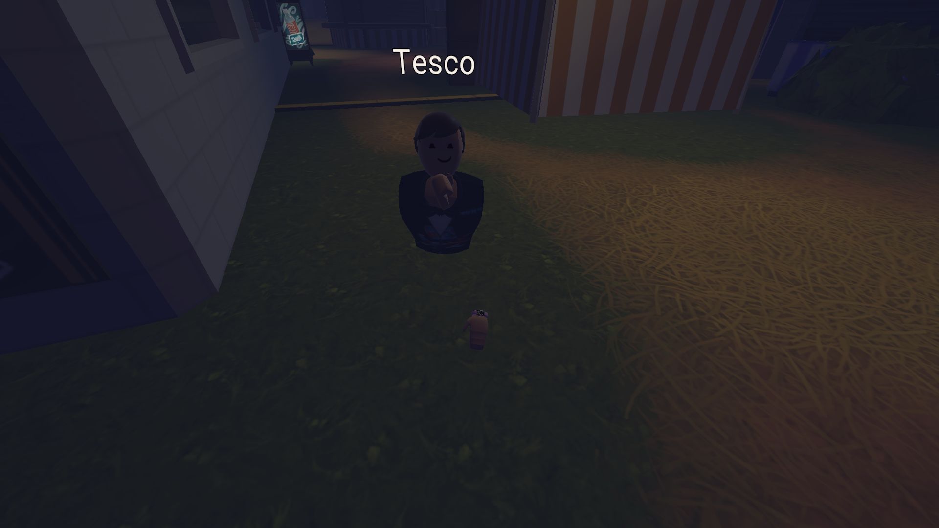 Image in Rec Room