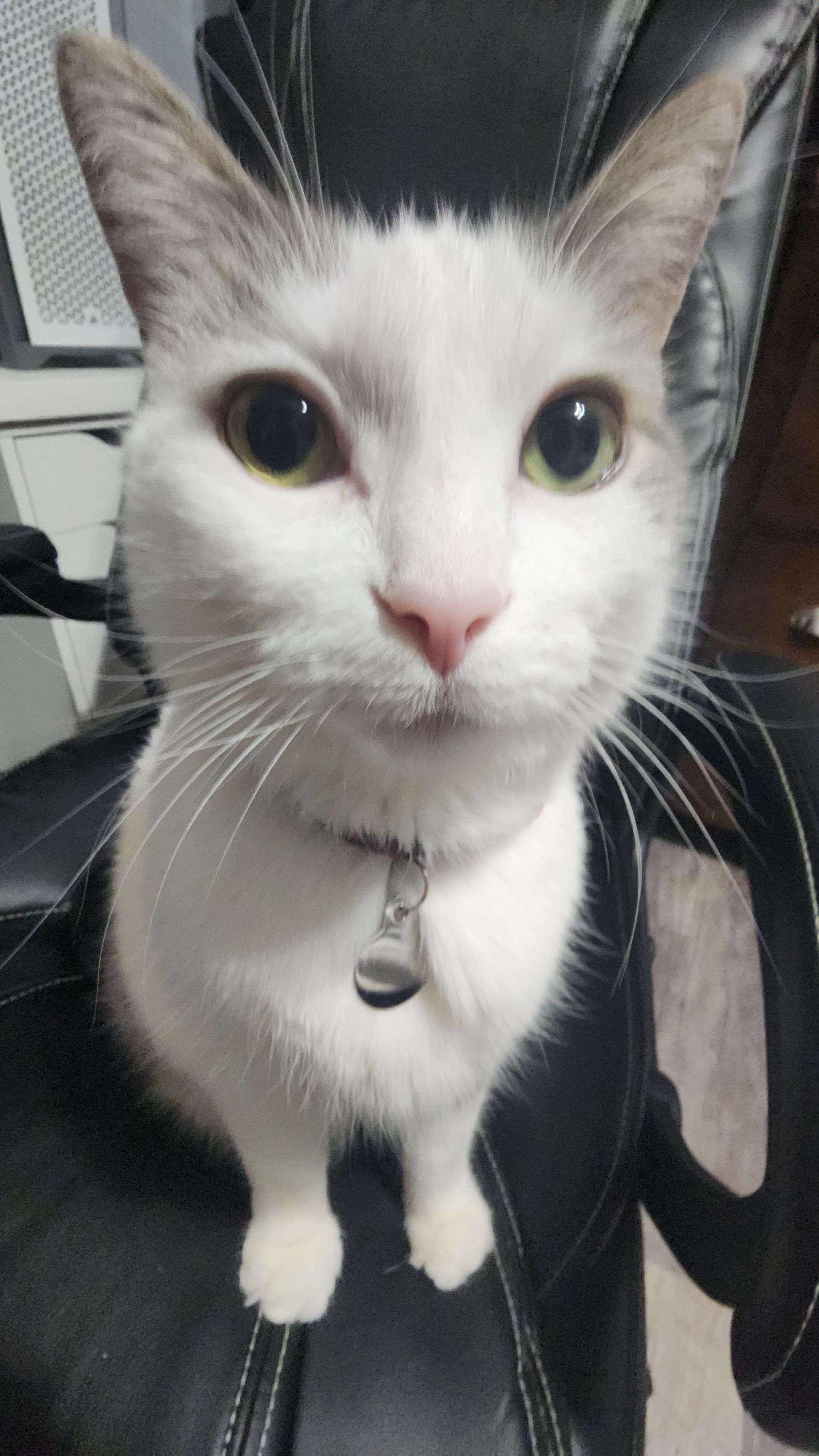 luxz @BobThemancool-RR's Profile