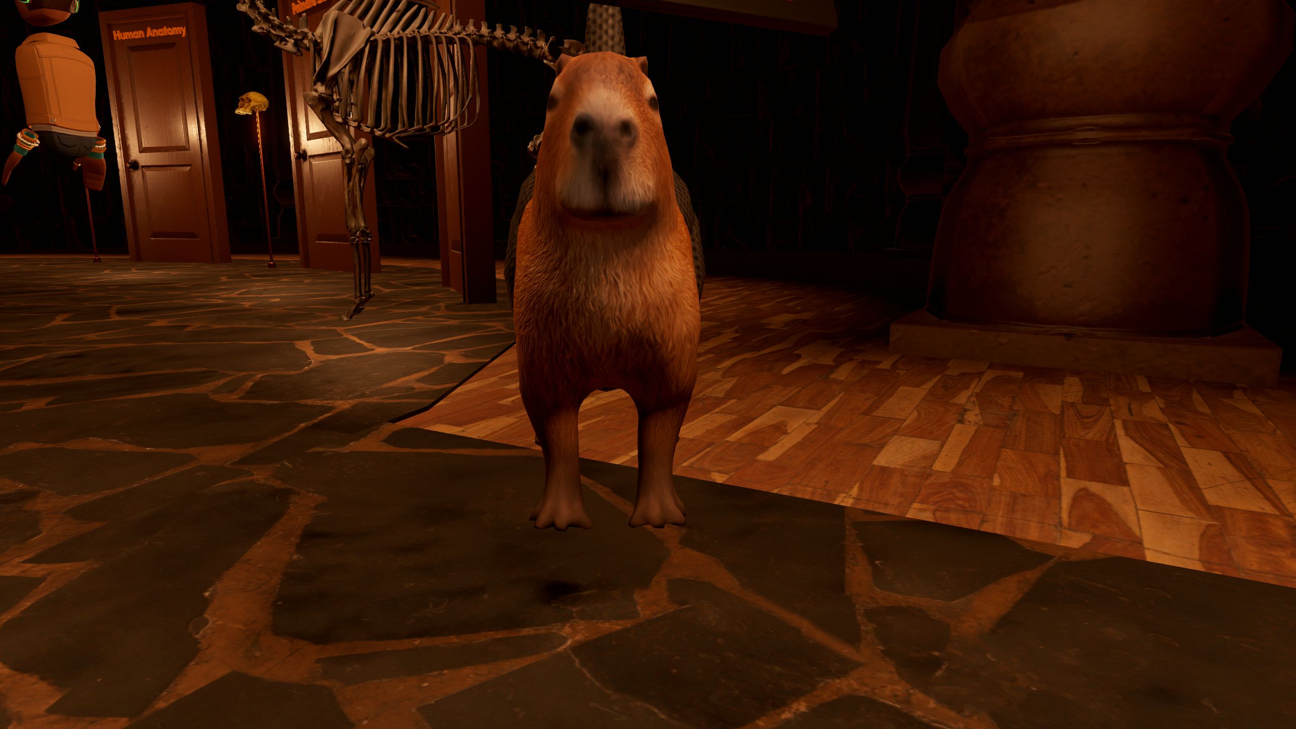 Toilet-roll @Toilet-roll's Rooms