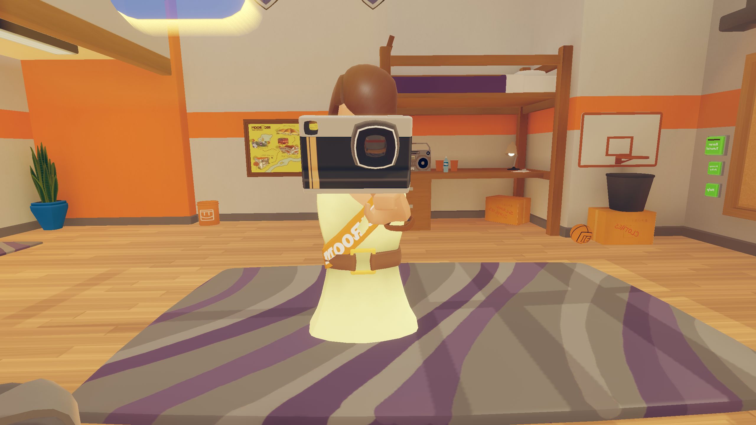 Image in Rec Room