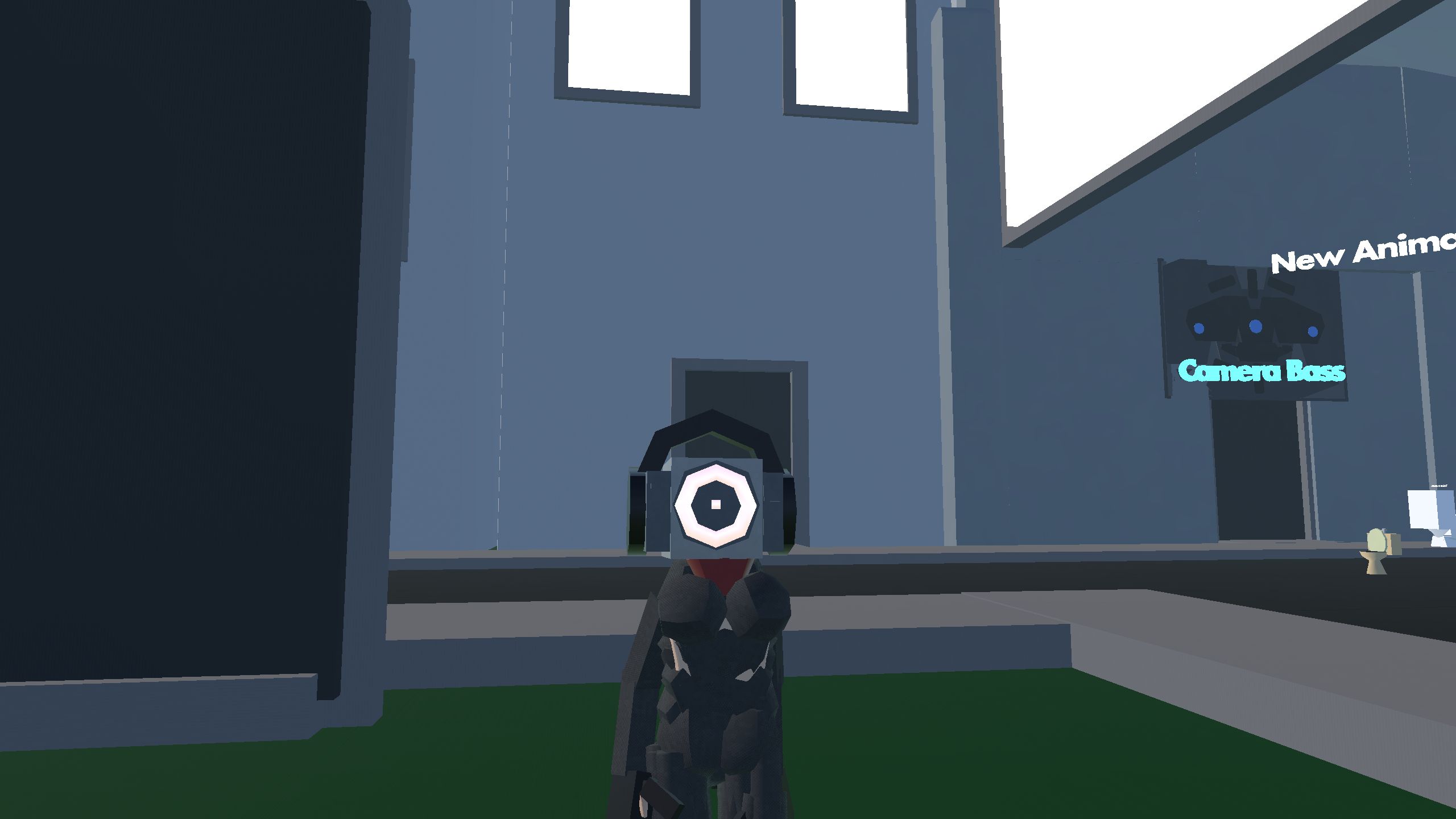 Image in Rec Room