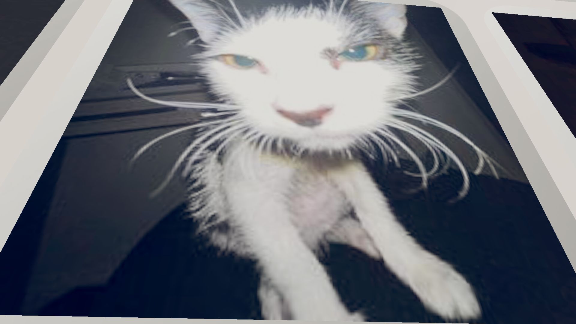 Zl0rp_G?r]st @Fruit_bat25's Rooms