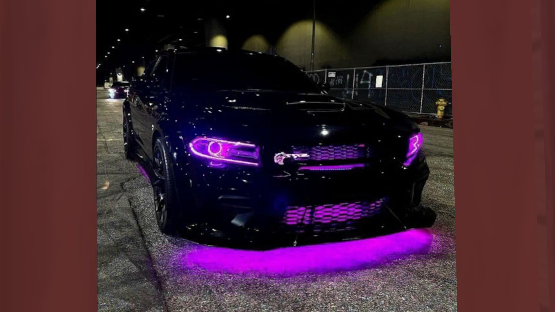 #NumberOne @-_Official_Doge_-