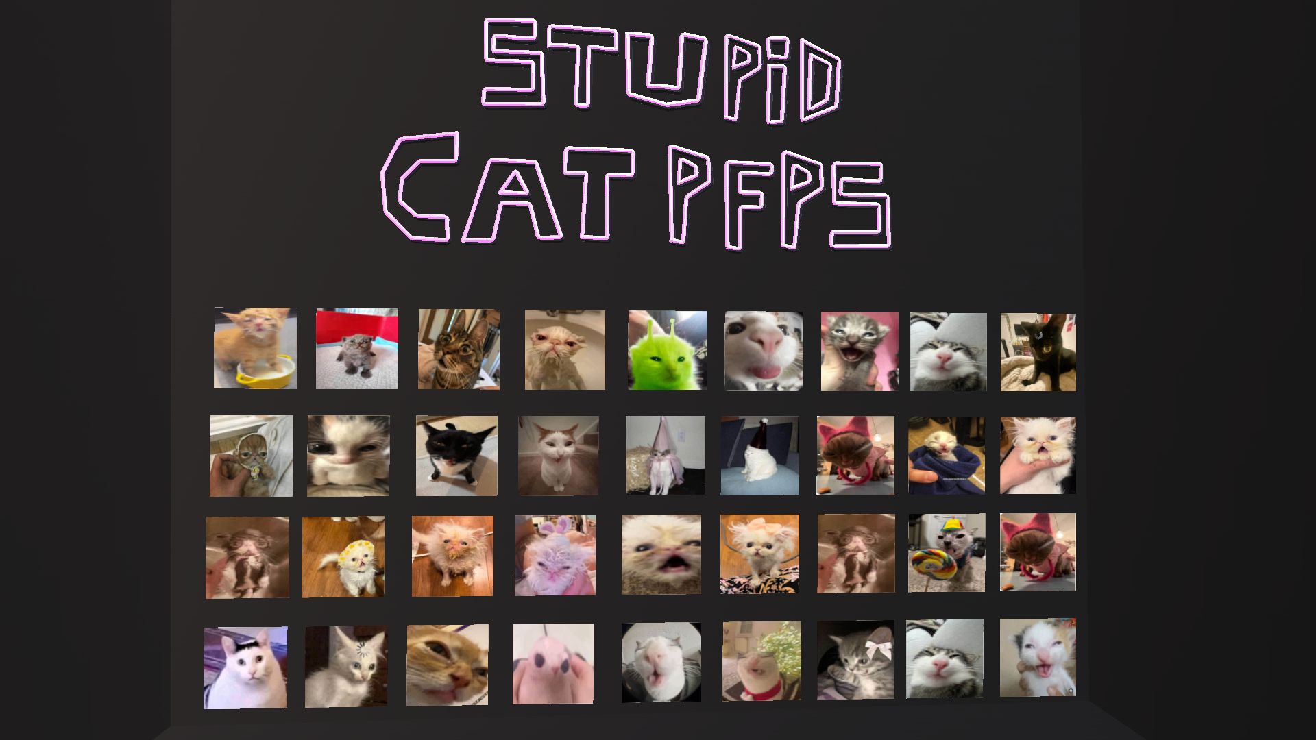 ^stupidcatpfps