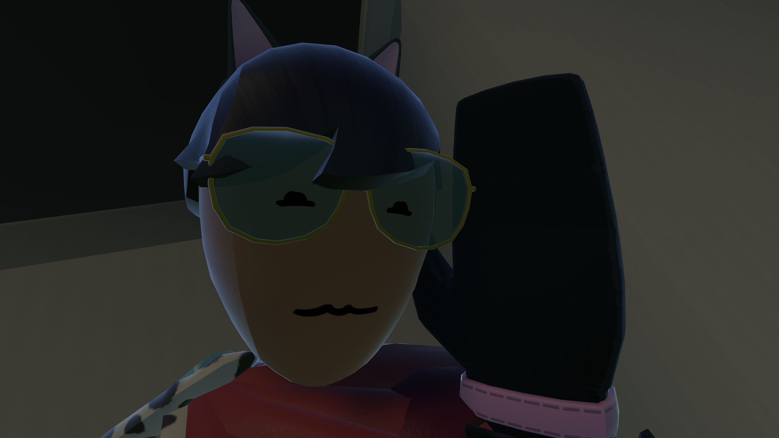 Image in Rec Room