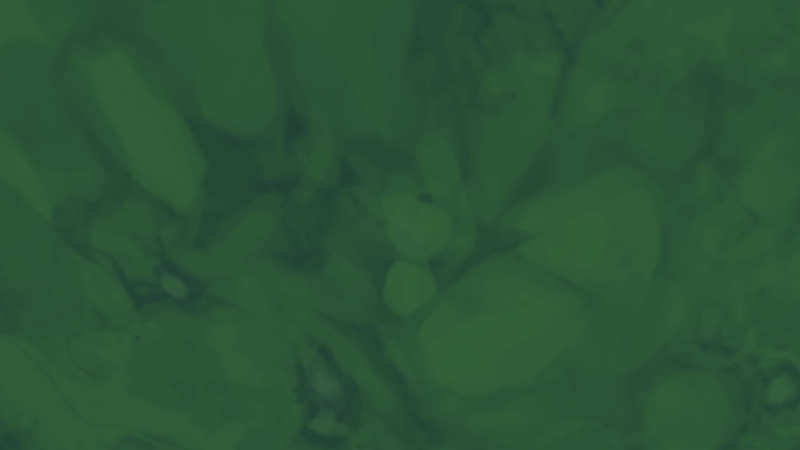 ^Welcome-to-0000000000000000000