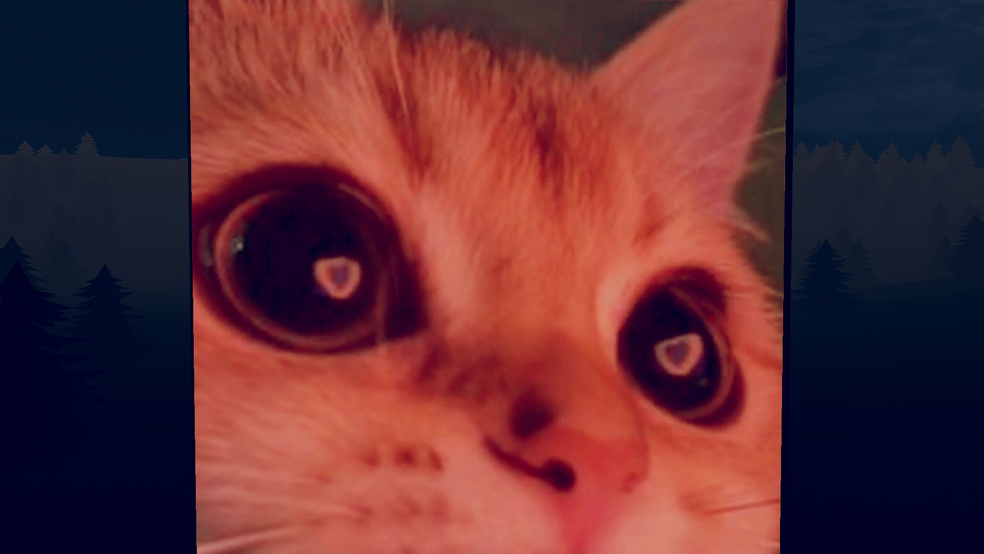 Gold Void @Golden_da_proto's Profile