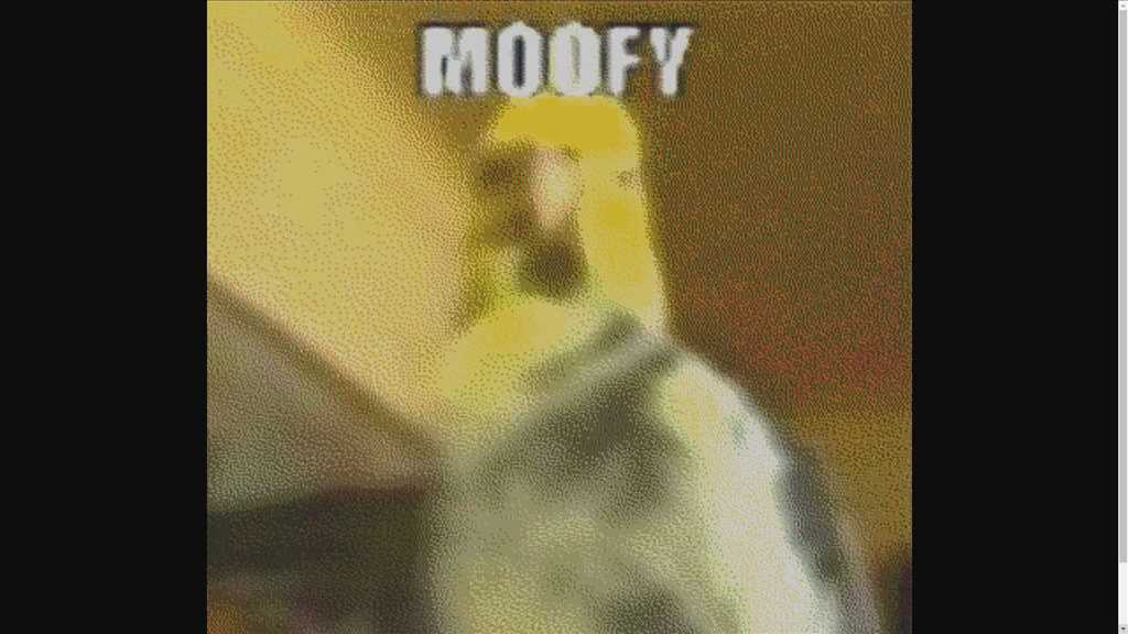 moofy @realmoofy