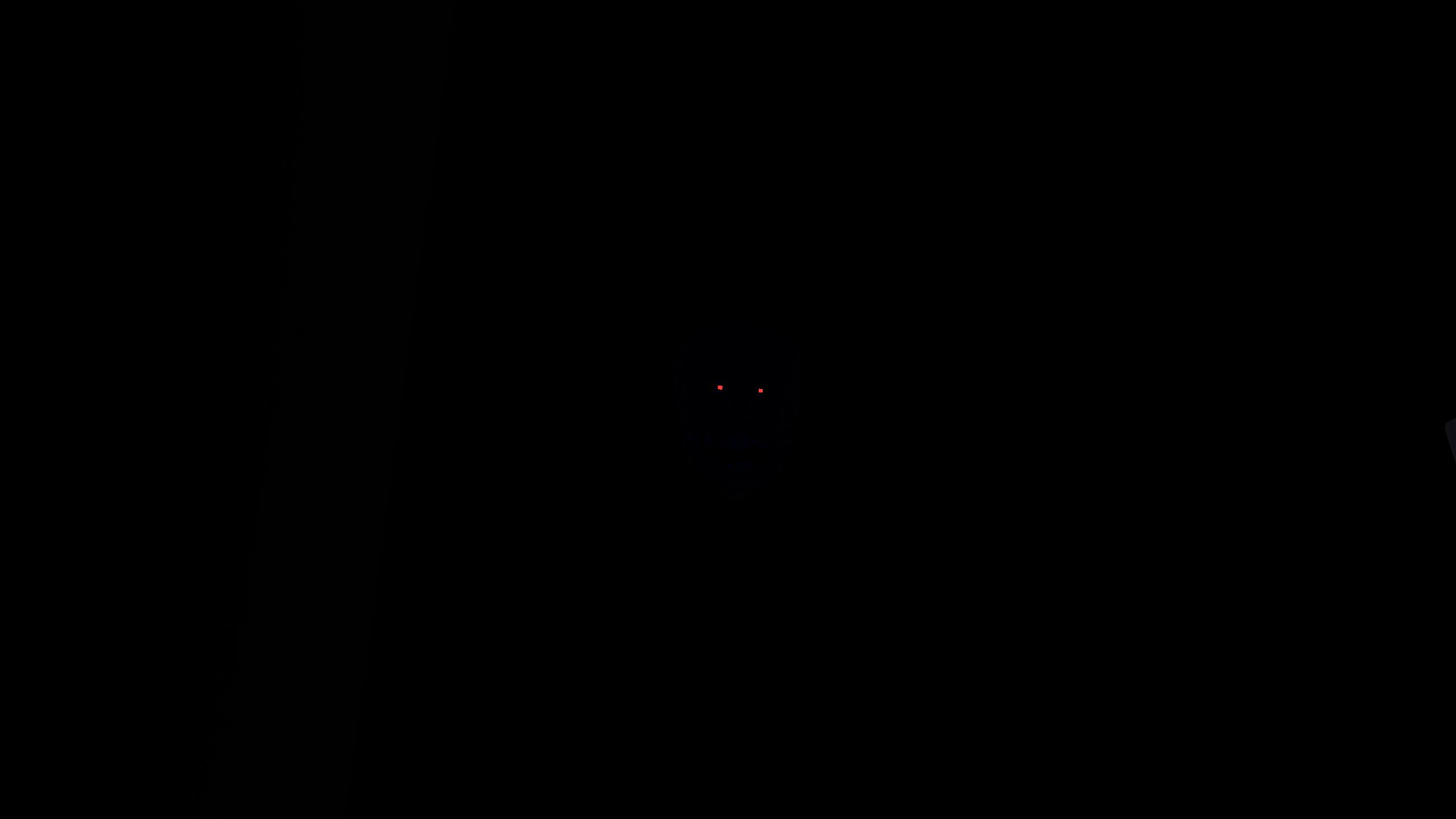 border hopper @FantasticPanther5132