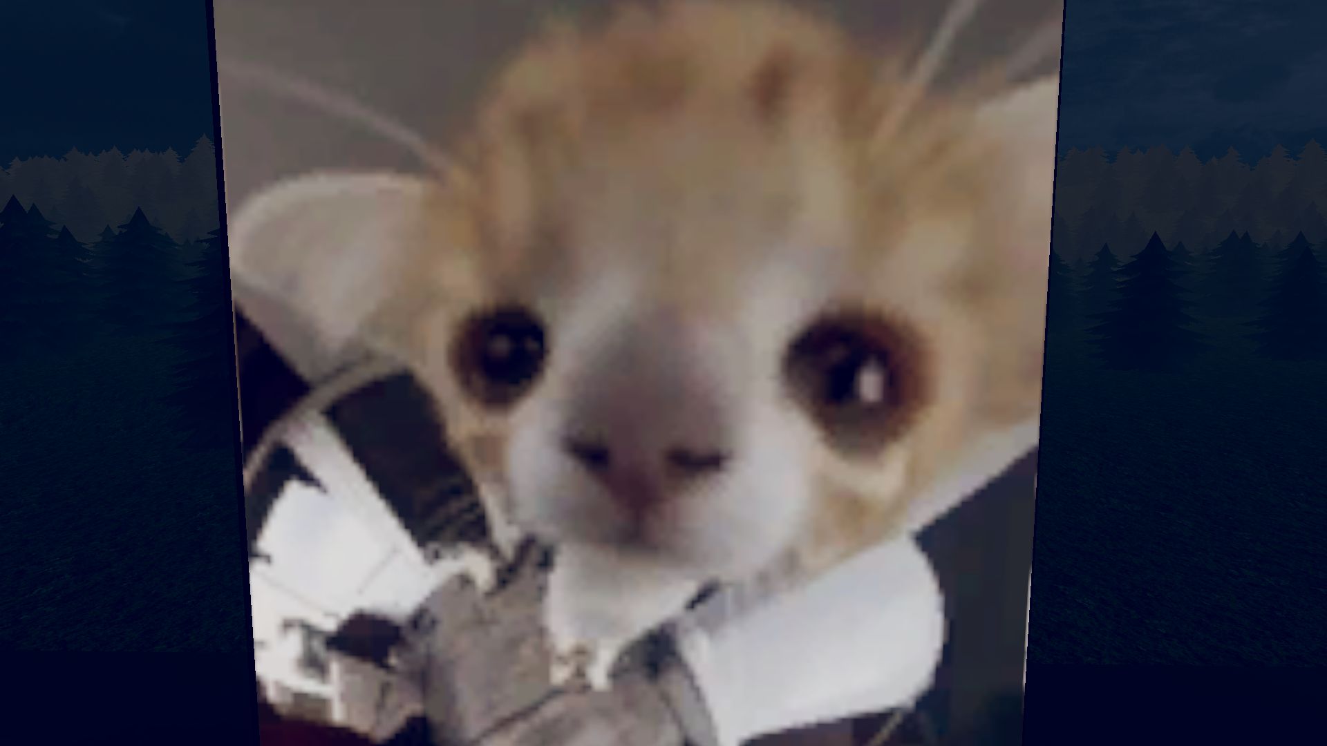 Im hardly here @shigeyo_kageyama