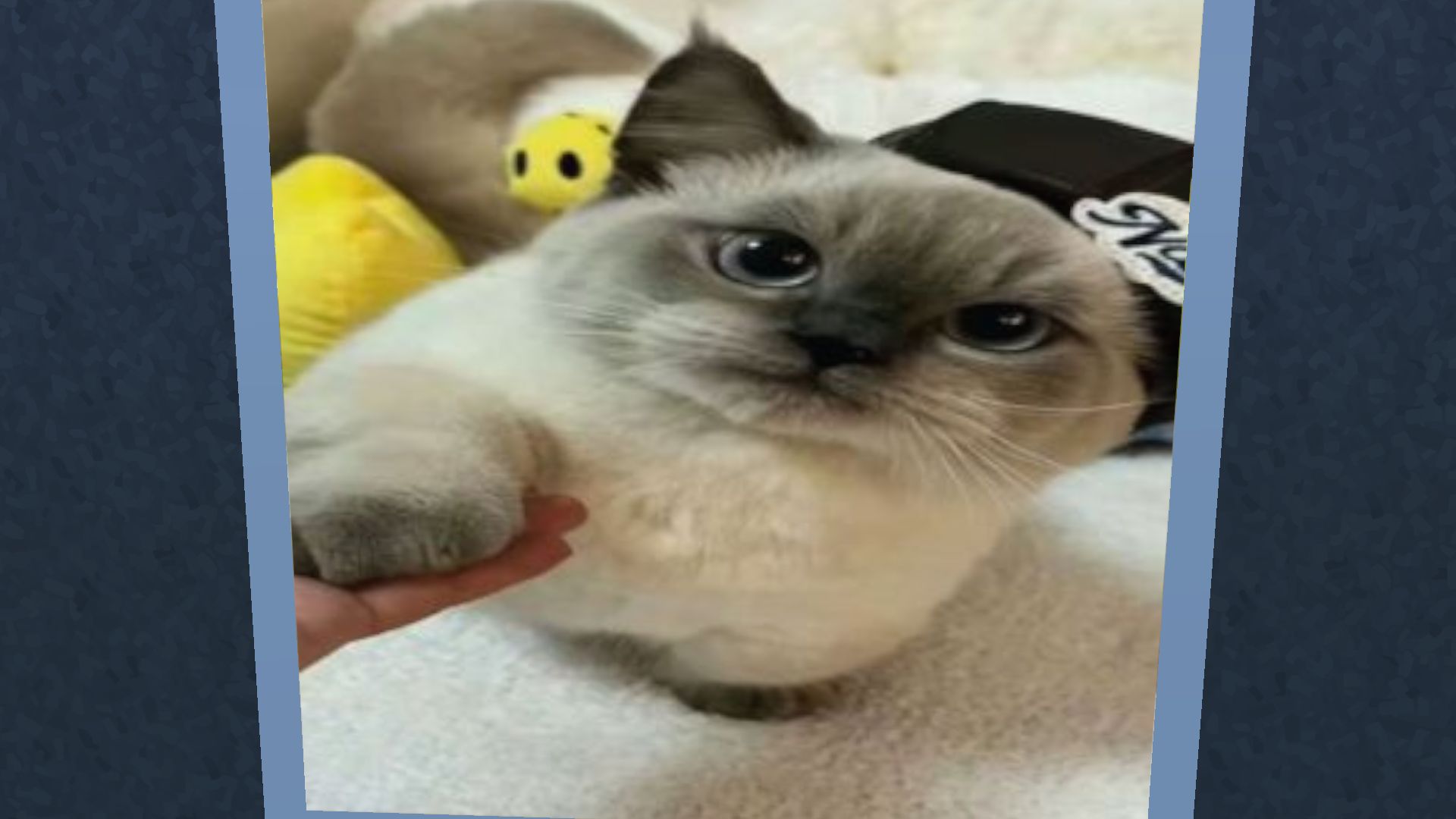 nando @-fortnitegod's Rooms