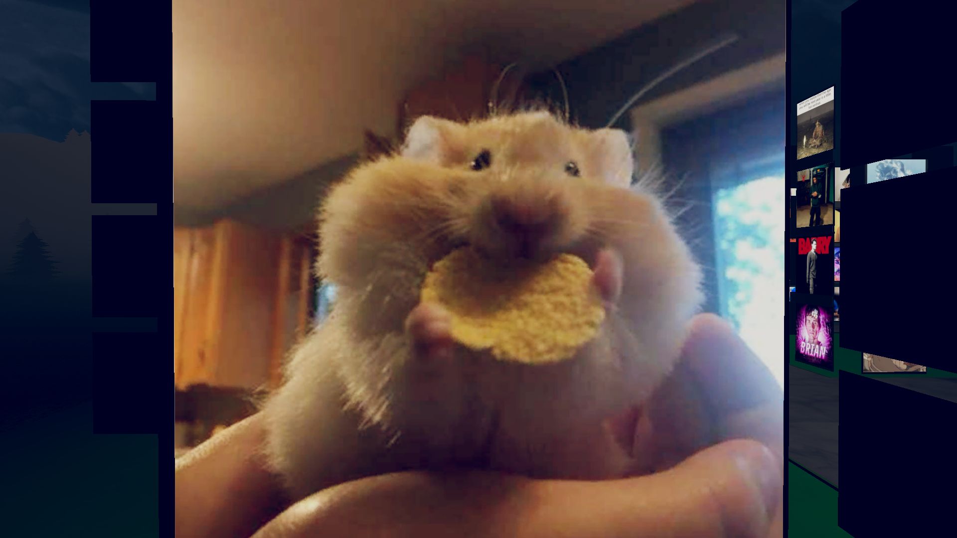 Loading.....0 @Loading.....0's Rooms