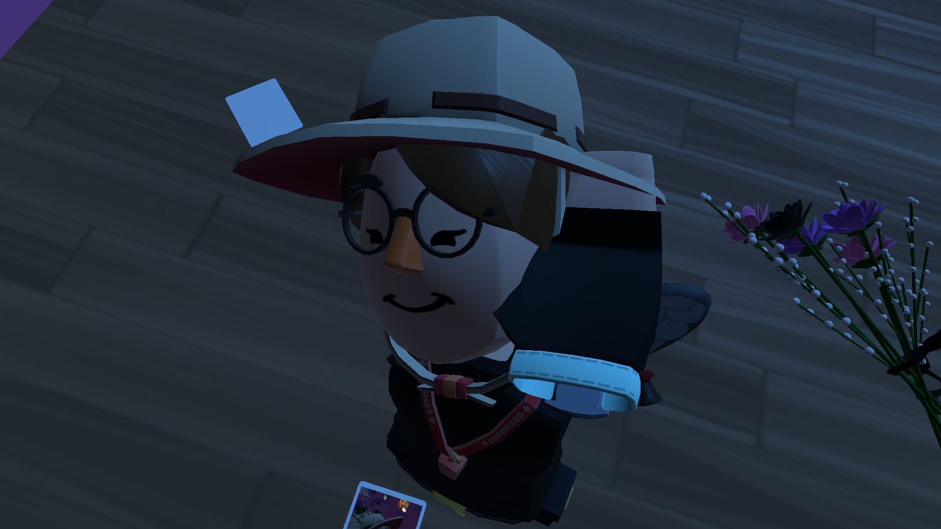Image in Rec Room