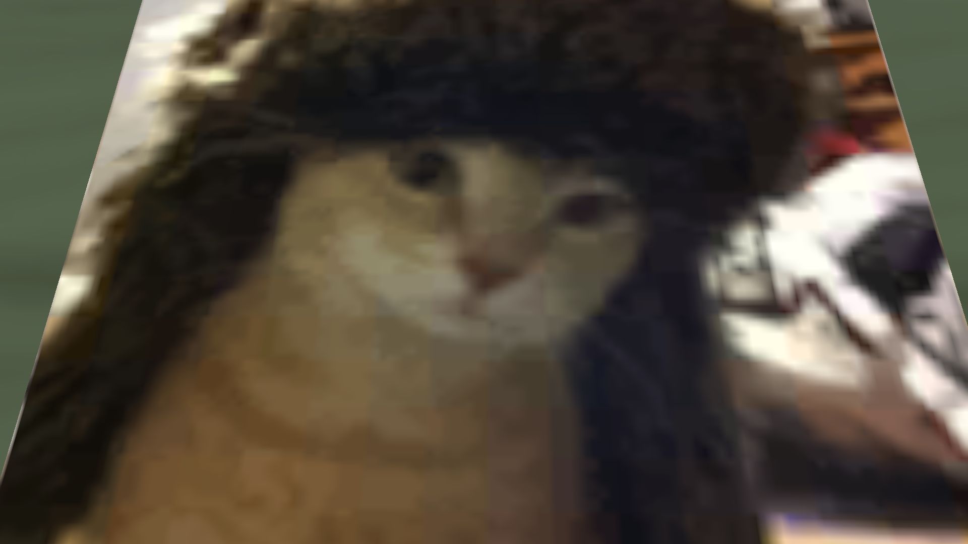 *#*SillyGirl*#* @ElliotLikesBacon