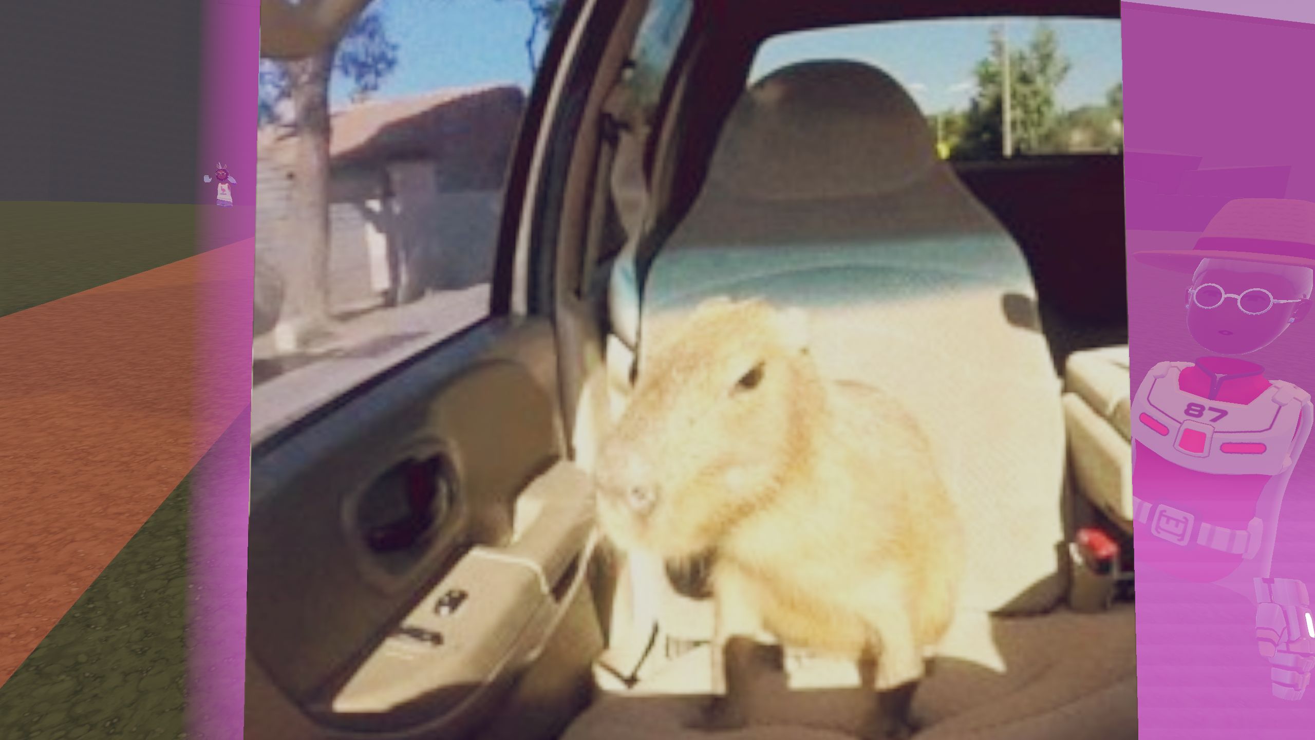 PoopButt @blankbrass's Profile