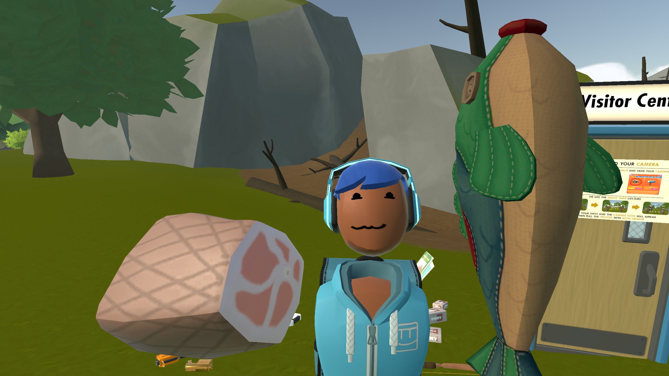 Image in Rec Room