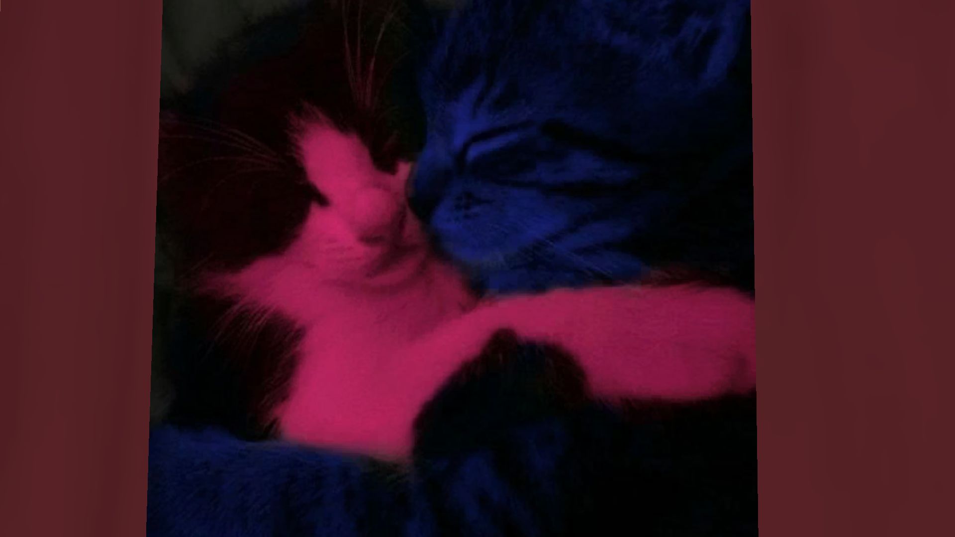 *+Mr.frog+* @Thetcrossbowkiller