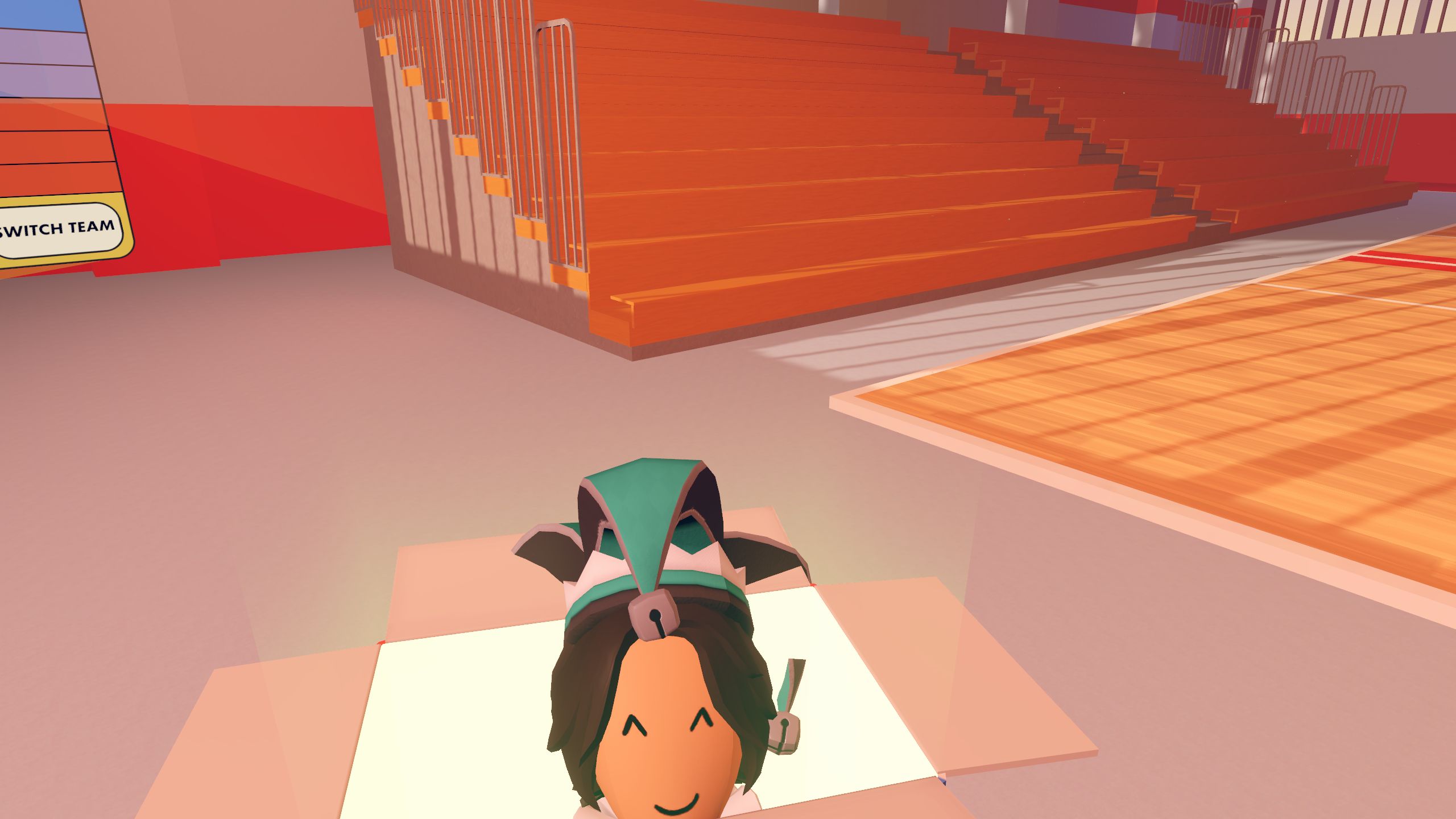 Image in Rec Room