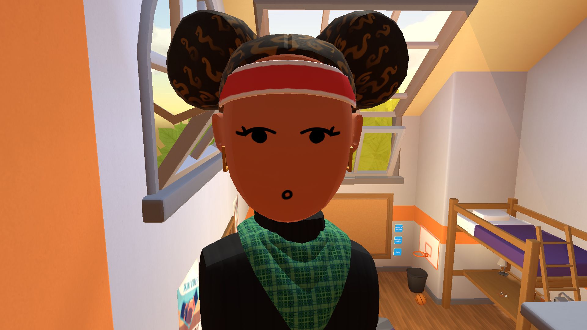 Image in Rec Room
