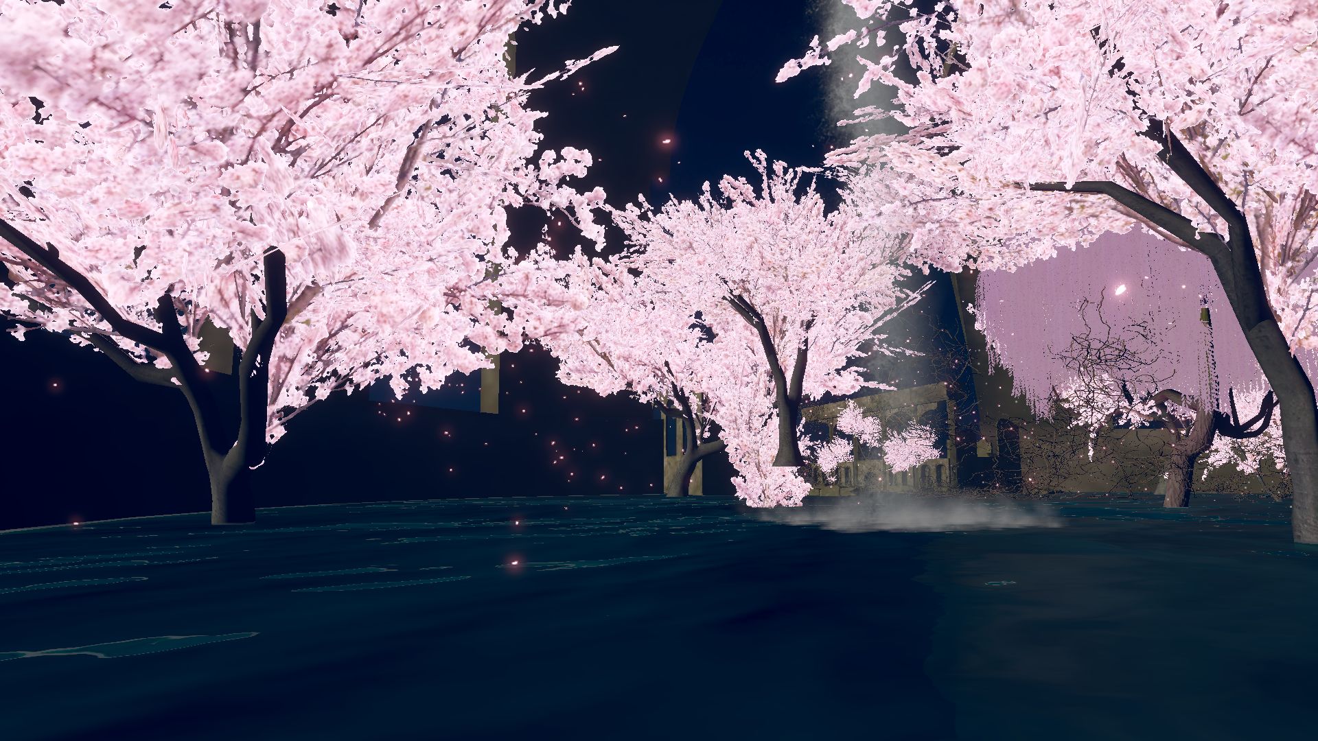 ^Sakuras