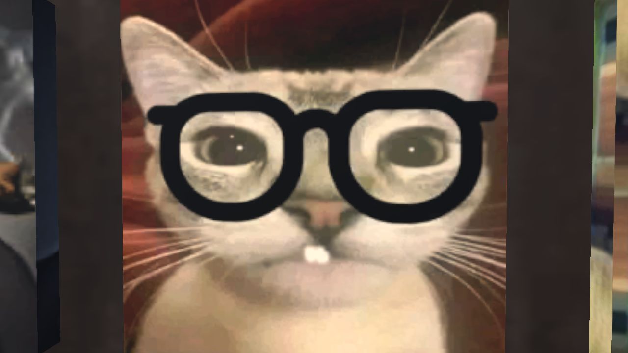 BUNNII !! :3 @iiheartfaith