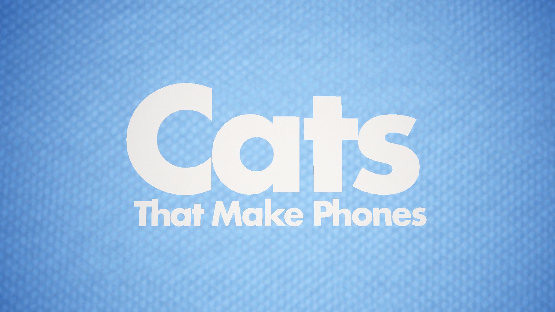 ^Cats-That-Make-Phones