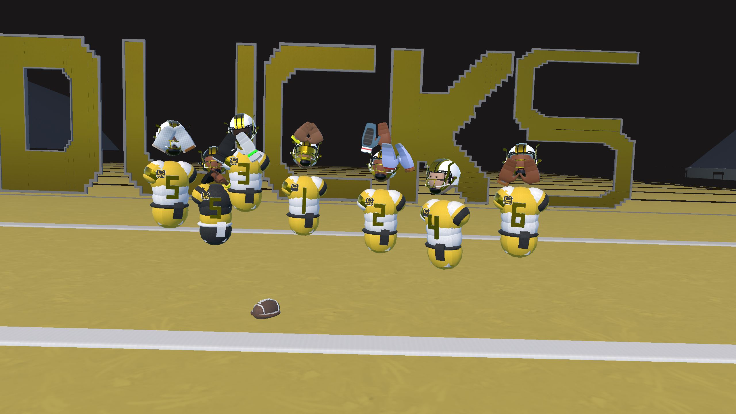 ^Chicago-Ducks-football-field