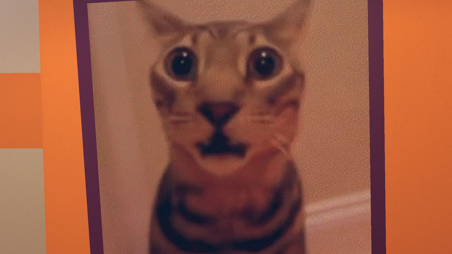 Mr Raw Data @Inksaac