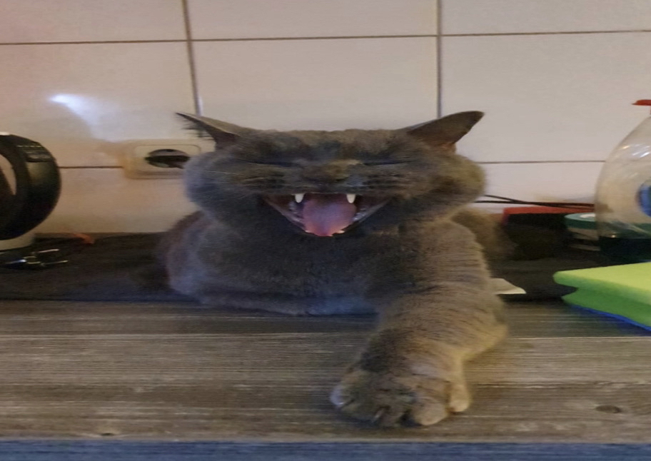 :3 @GammaRR's Profile