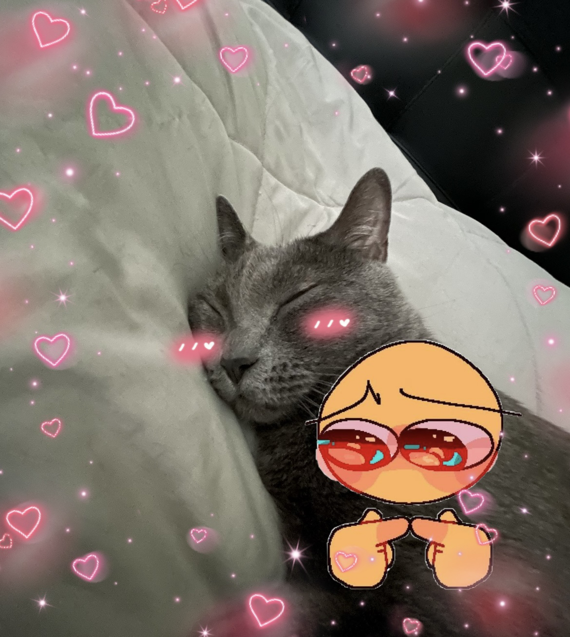 Volume @HoneyBooBooMushroomSprinkleHairedWhipedCreamBetwen