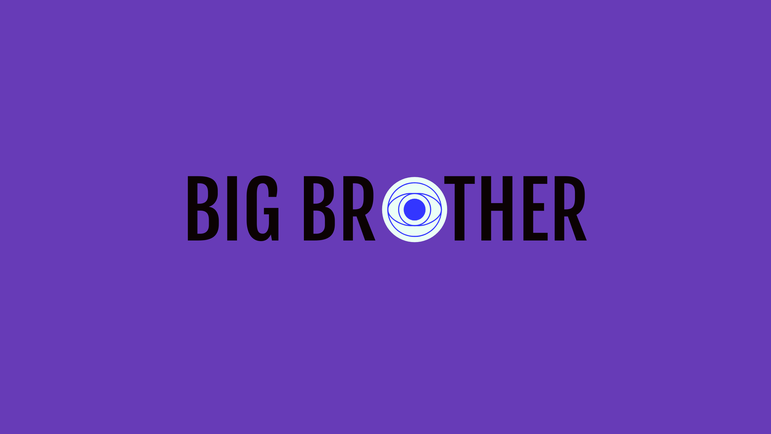 ^BigBrotherCCTV