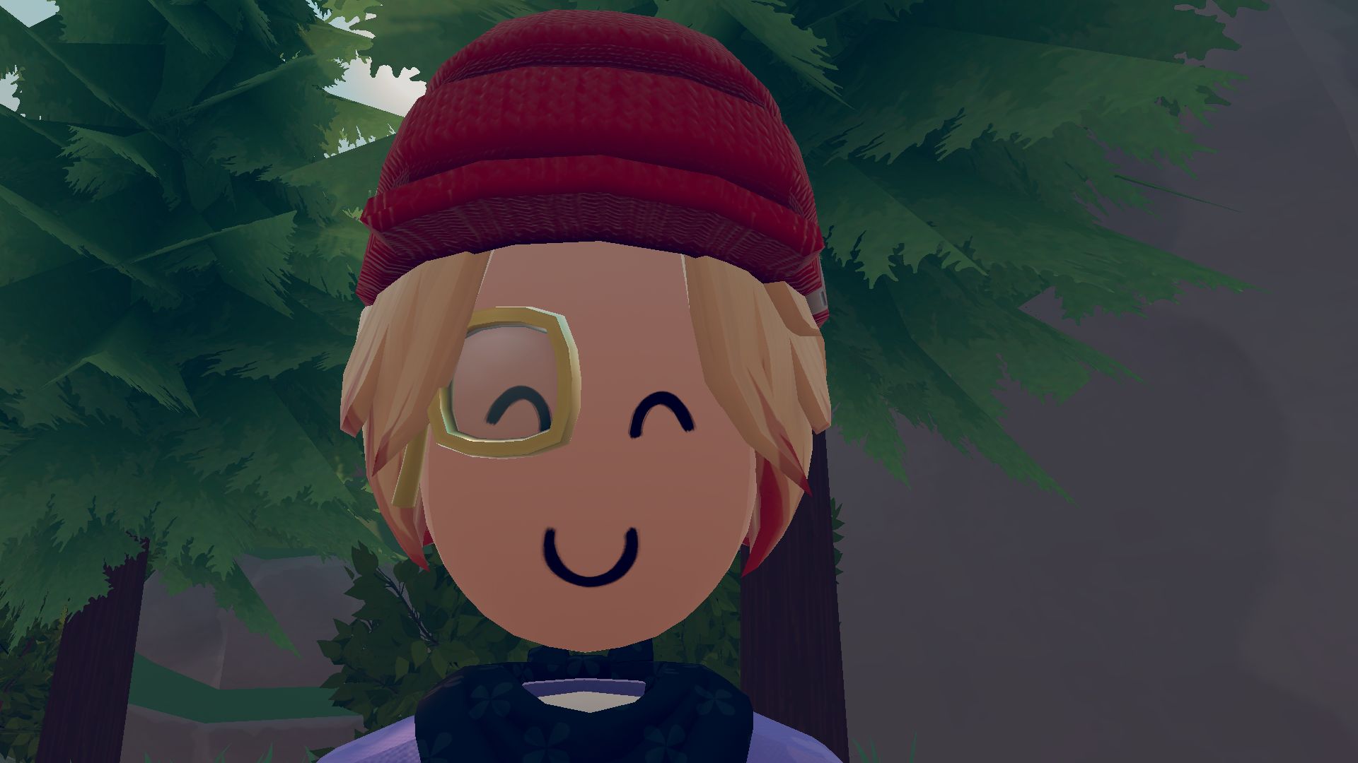 Image in Rec Room