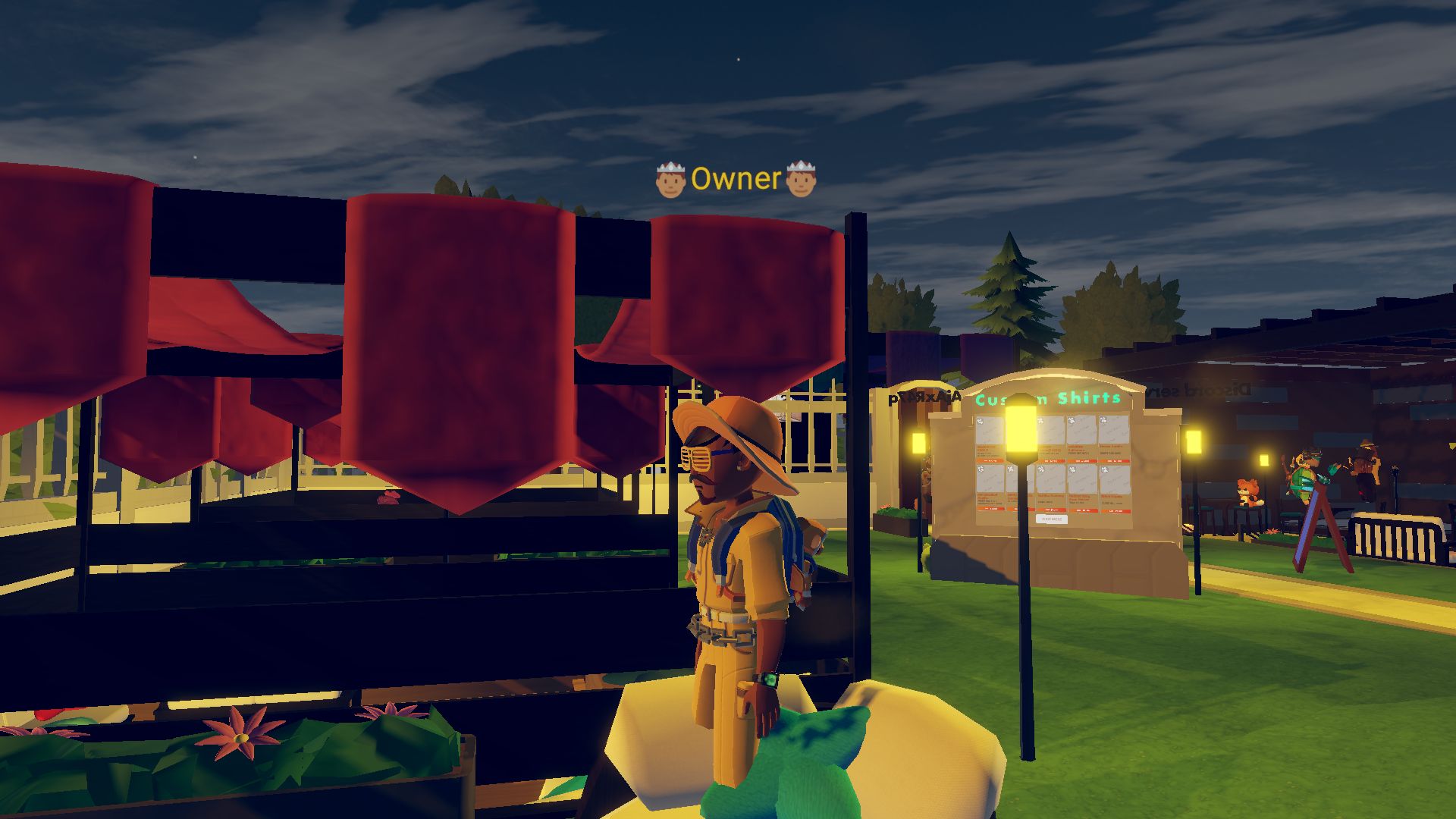 Image in Rec Room