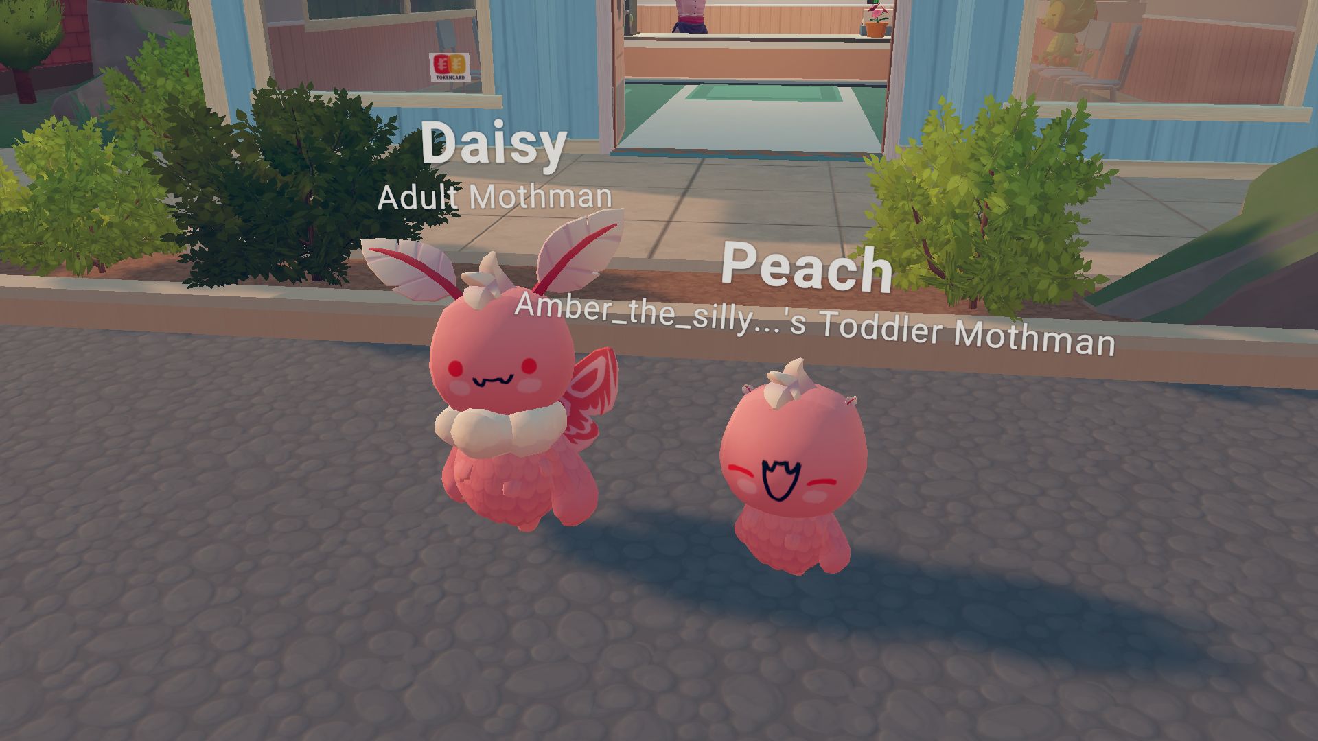 Amber_the_silly_girl @Amber_the_silly_girl's Profile