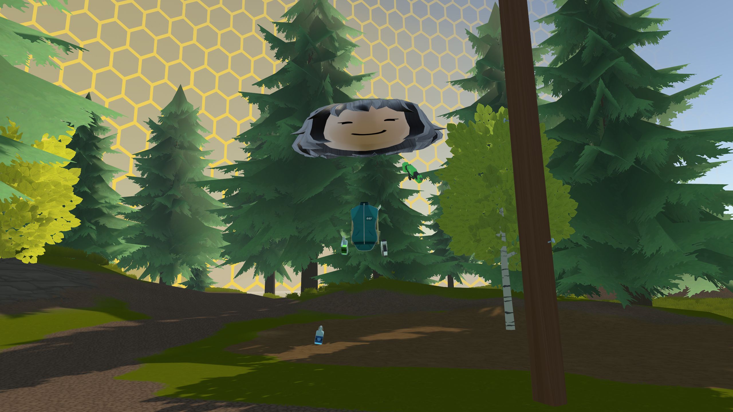 Image in Rec Room