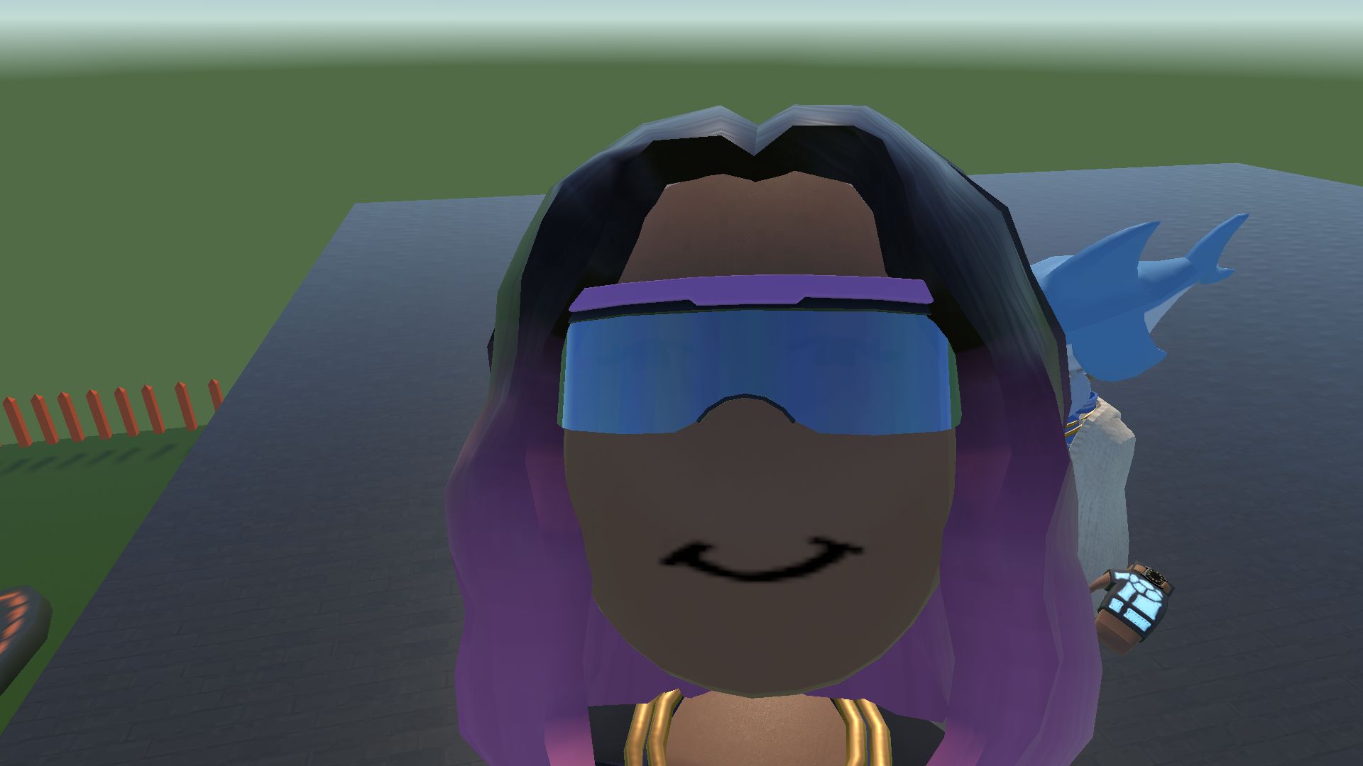 Image in Rec Room