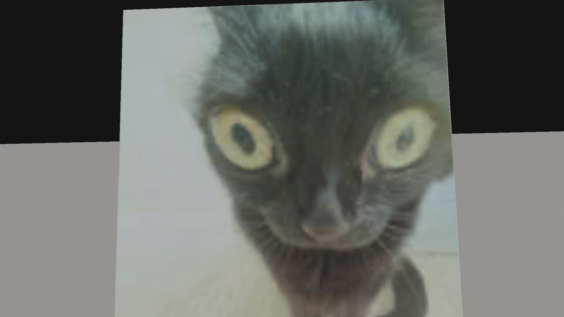 Vault @Vault120's Rooms