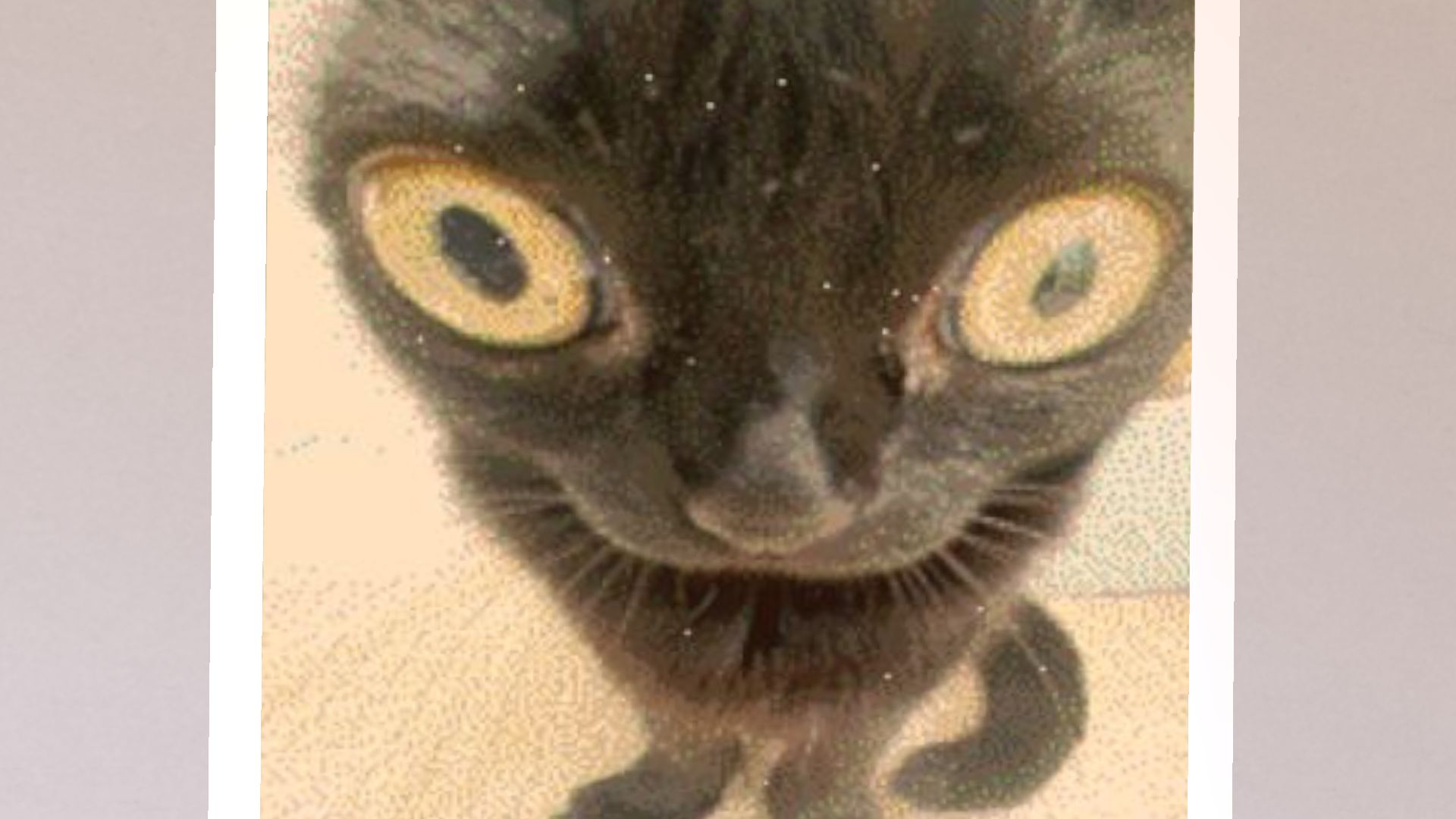 DOOM_SLAYER6734 @DOOM_SLAYER6734's Rooms