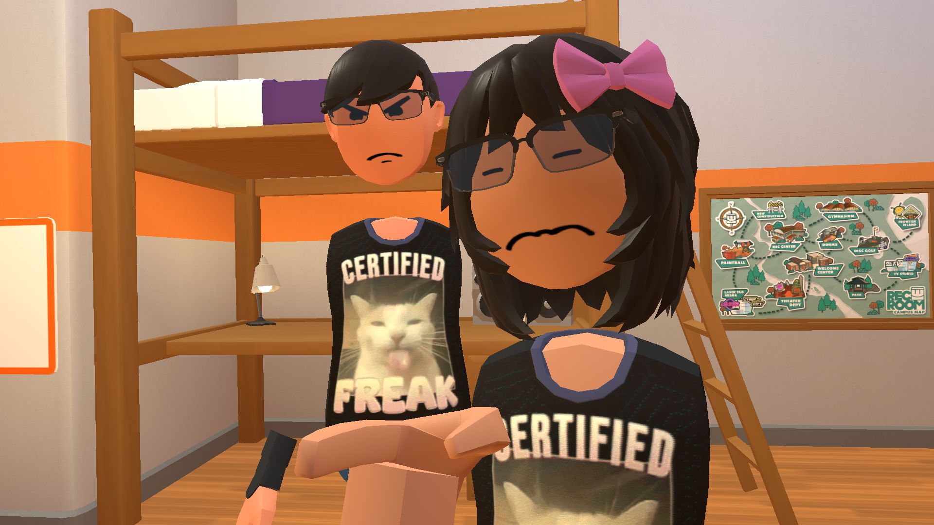 Image in Rec Room