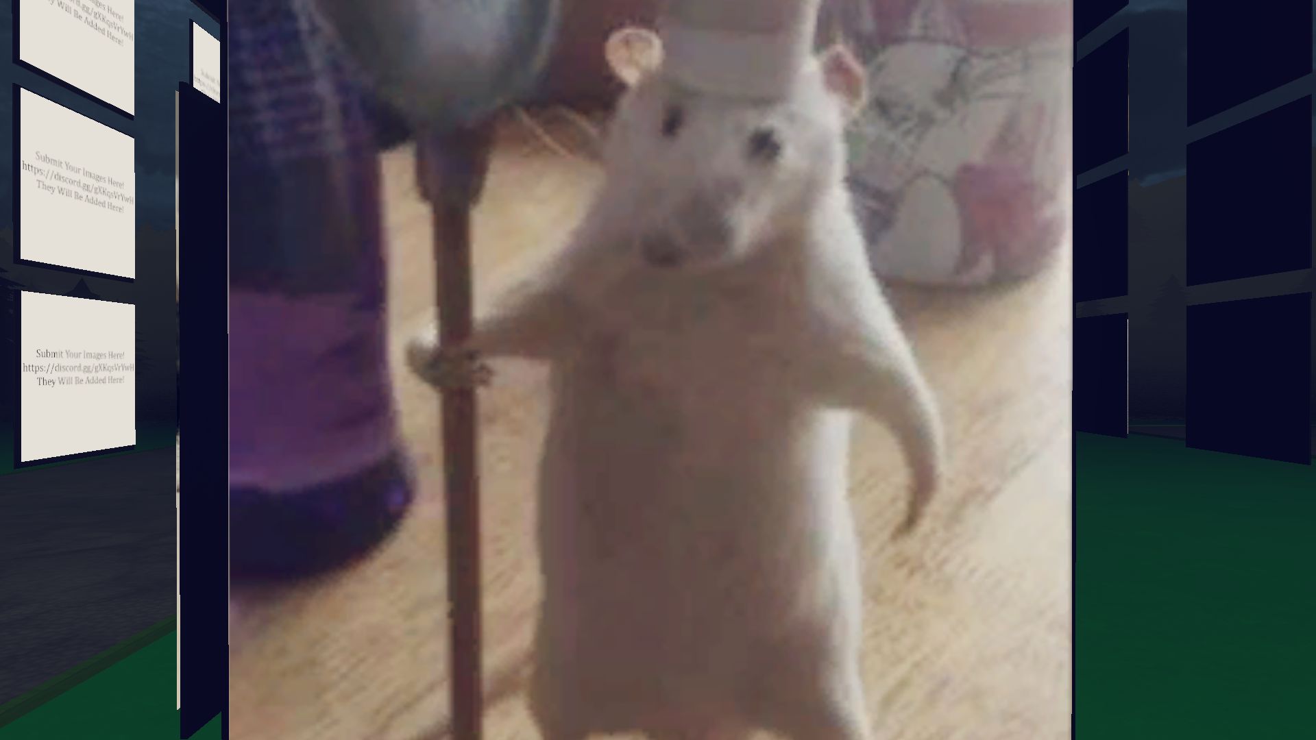 OfficialDarzaVR's Profile