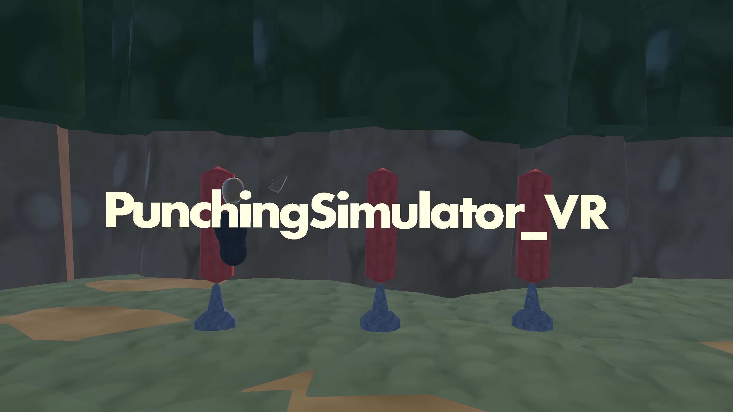 ^PunchingSimulator_VR