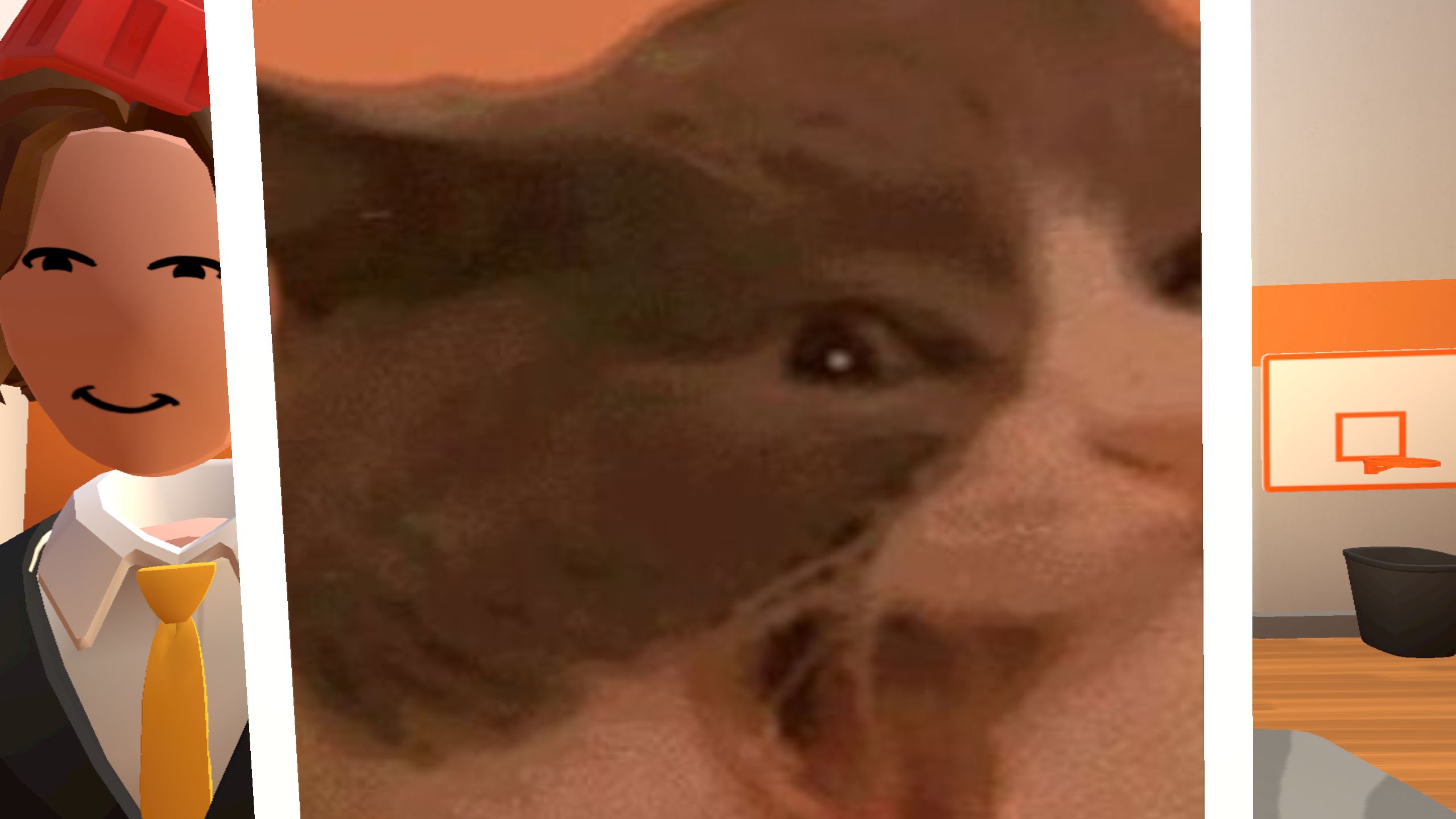 bucket @bucket-of-root-beer's Profile