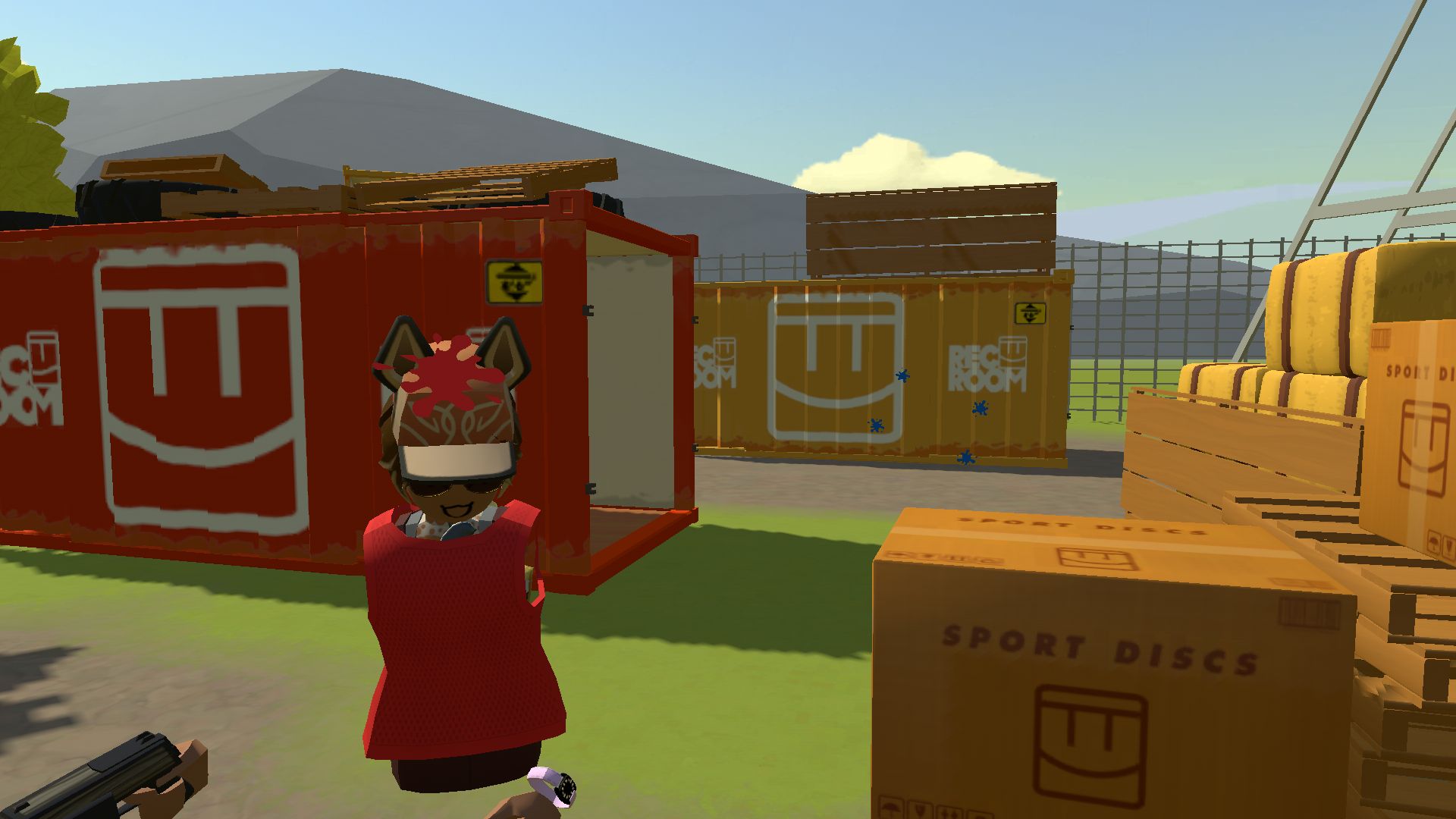 Image in Rec Room