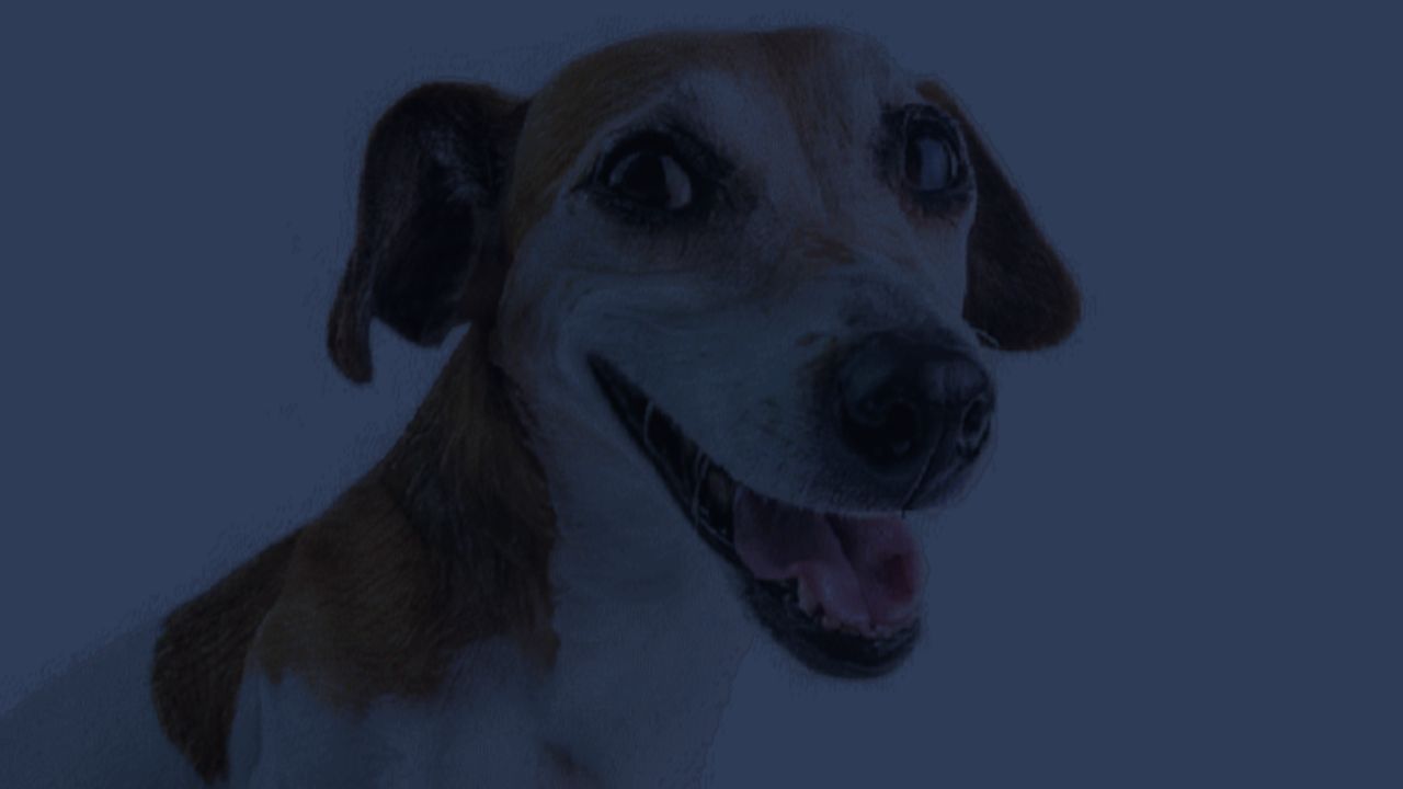 @Fudge.com(han) @ELECTRIC_DEMON_TERRIER's Rooms