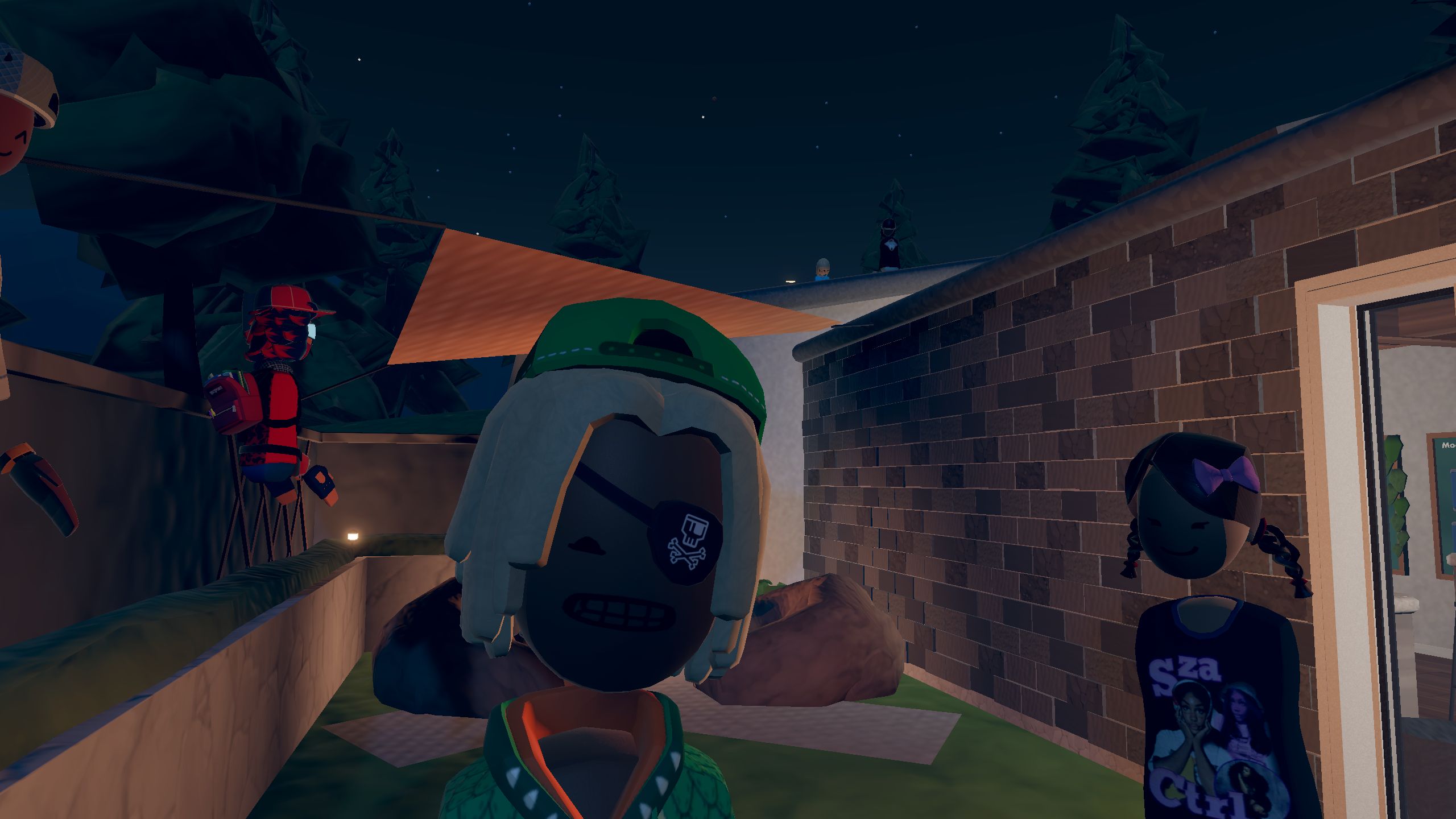 Image in Rec Room