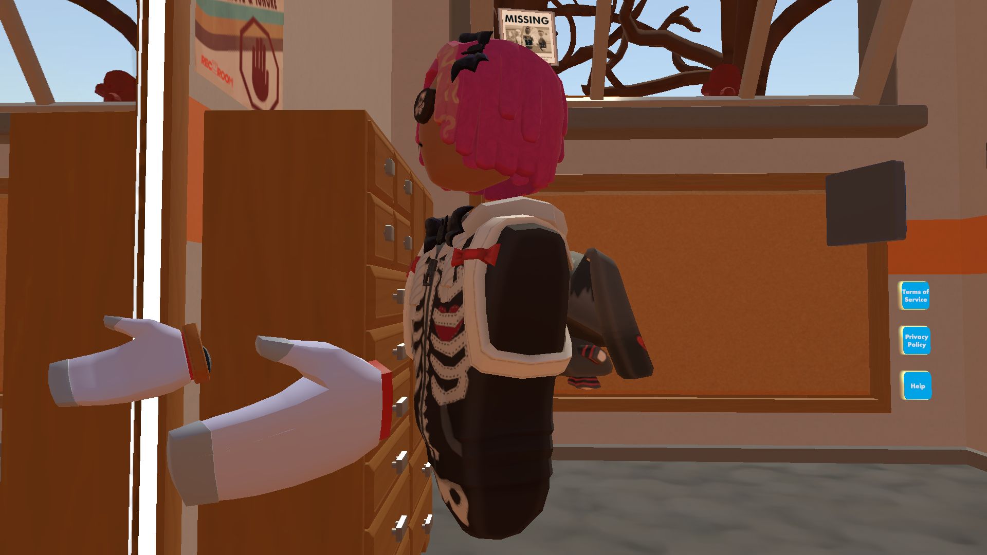 Image in Rec Room
