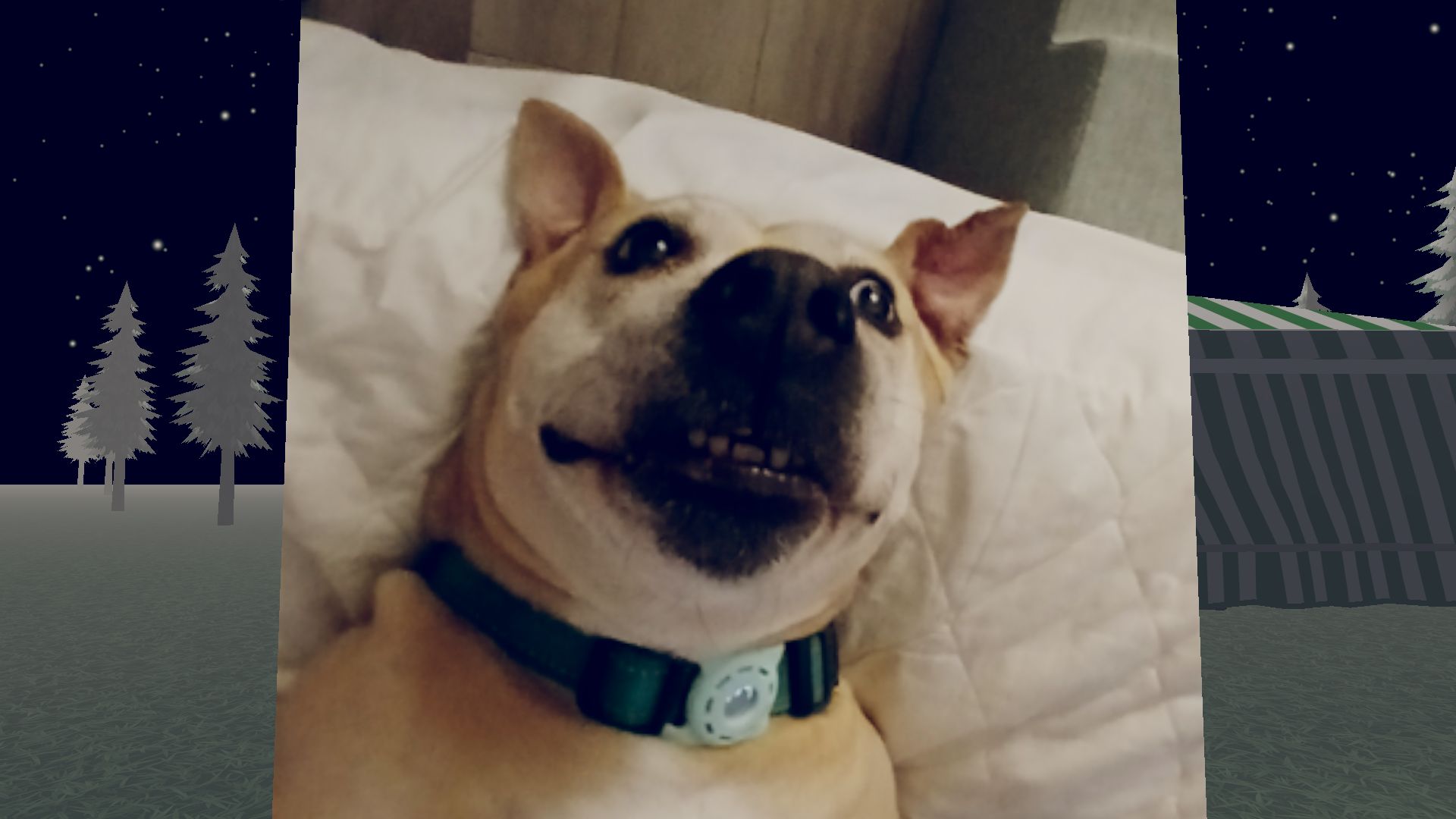 Knacky Snacky @Knacky_Snacky 🔥