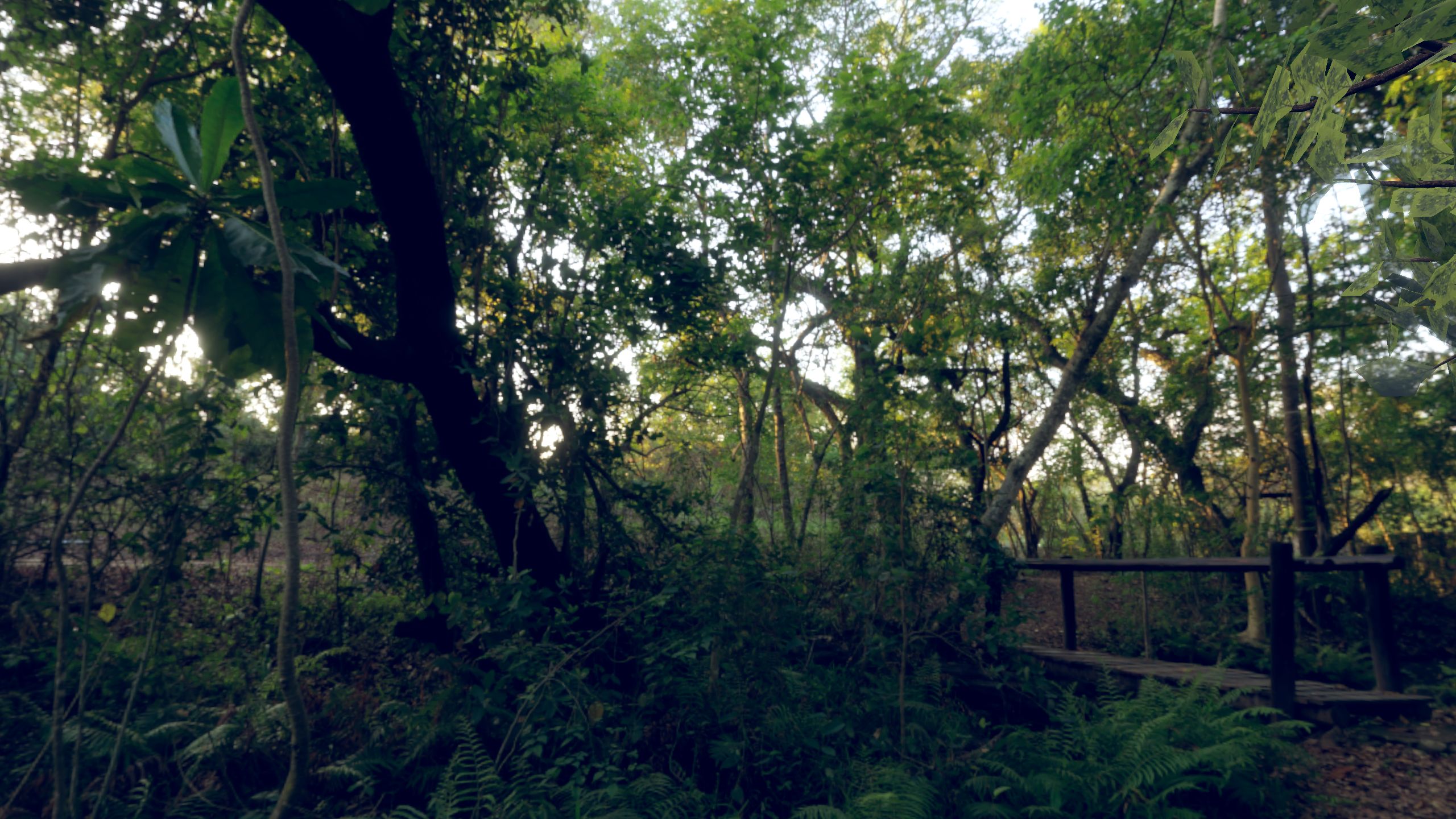 Mayvis @MayLikeTheMonth's Profile