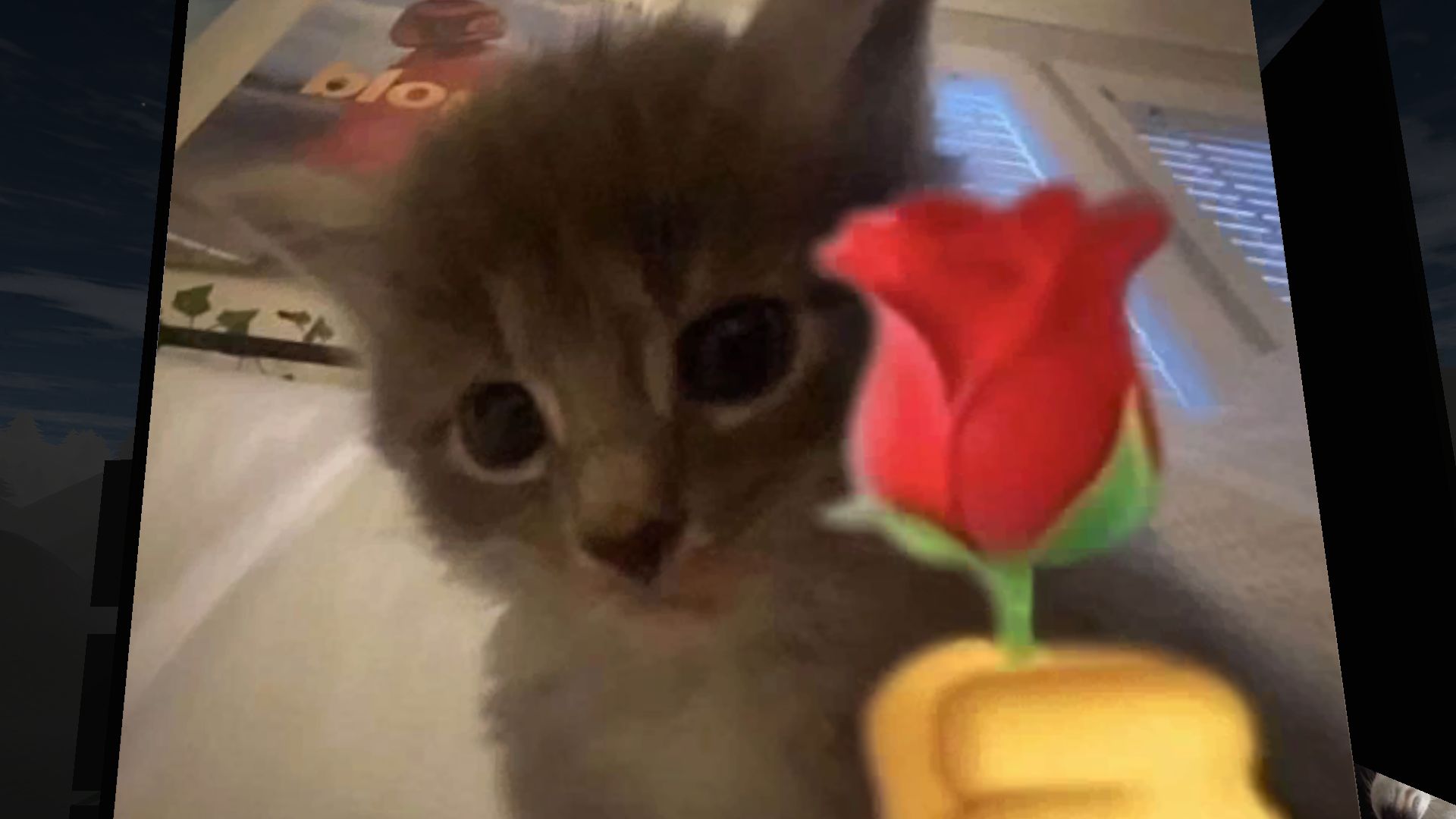 N0VA >:) @they_luv_nova