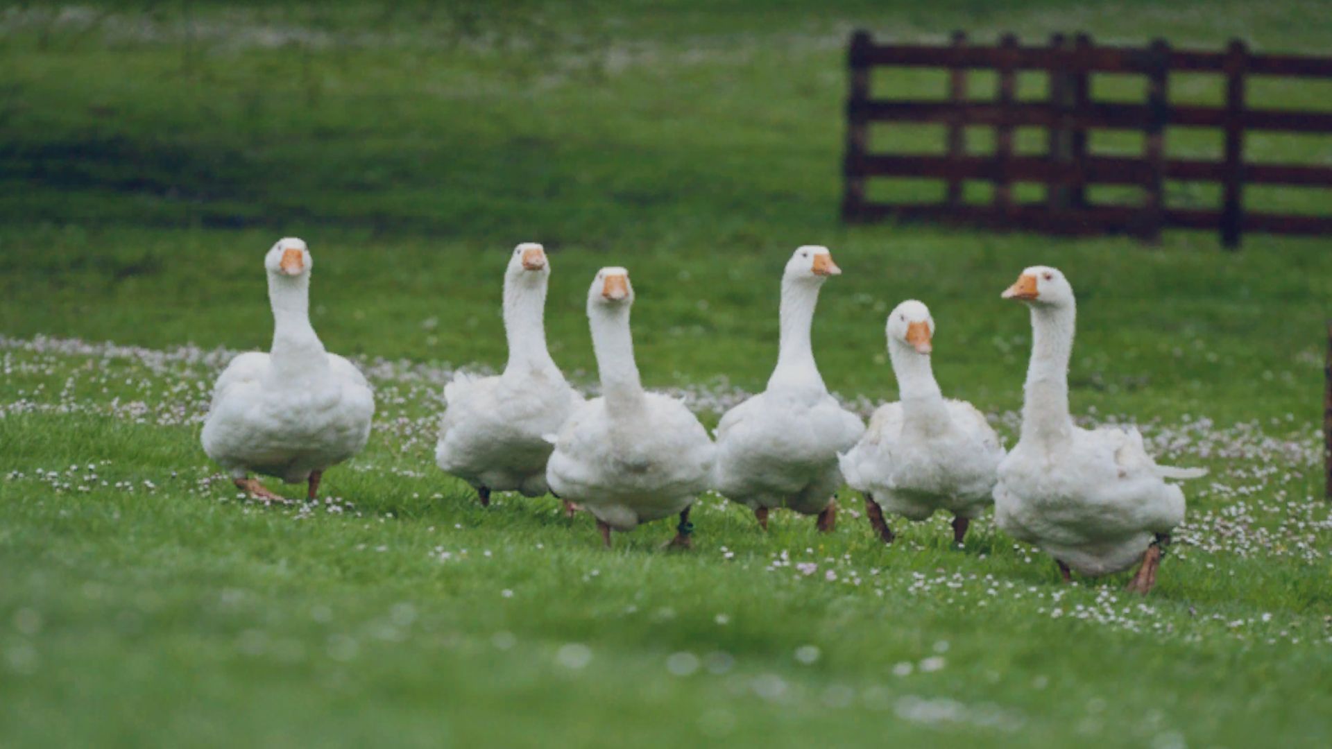 Uncle Gorgeous @GoogleCardBoardUser234